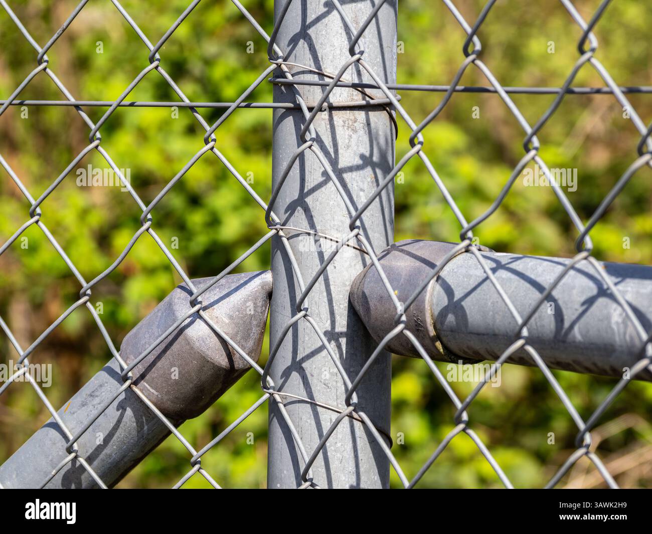Weathered chain-link fence with support poles, surrounded by greenery ...