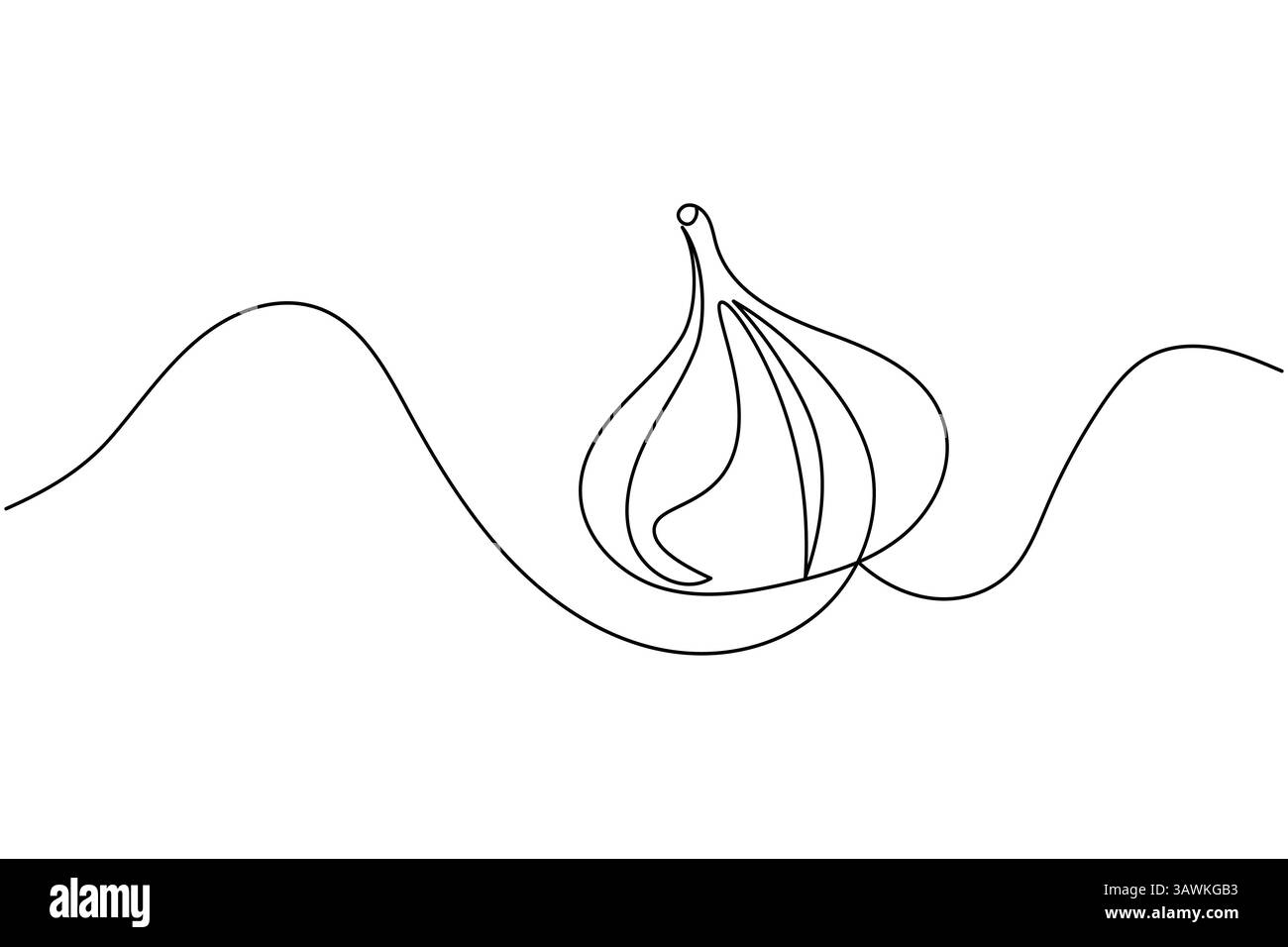 Garlic continuous one line drawing and minimalist style isolate outline ...