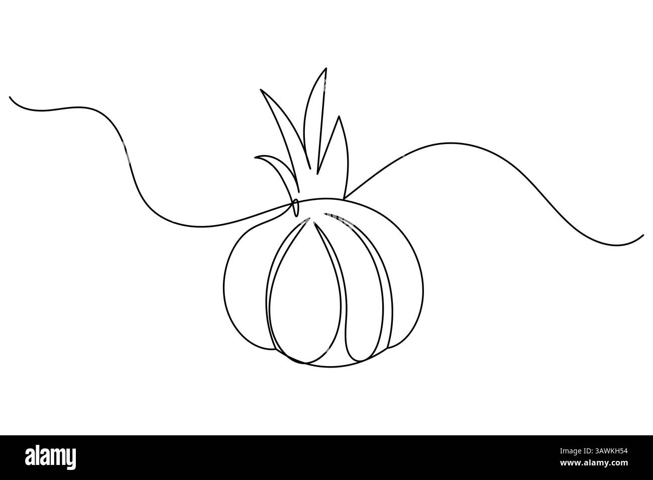 Garlic continuous one line drawing and minimalist style isolate outline ...