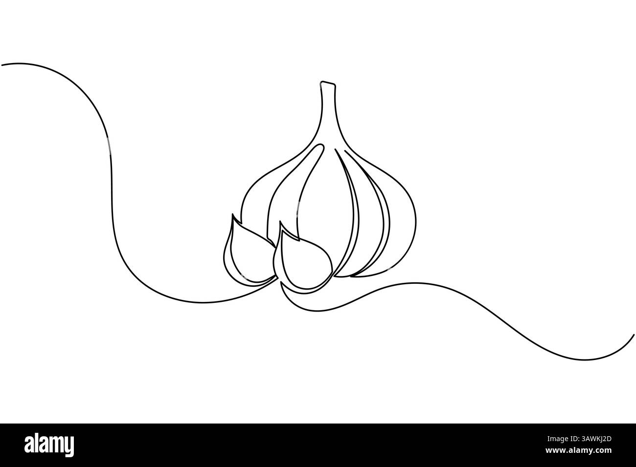 Garlic continuous one line drawing and minimalist style isolate outline ...