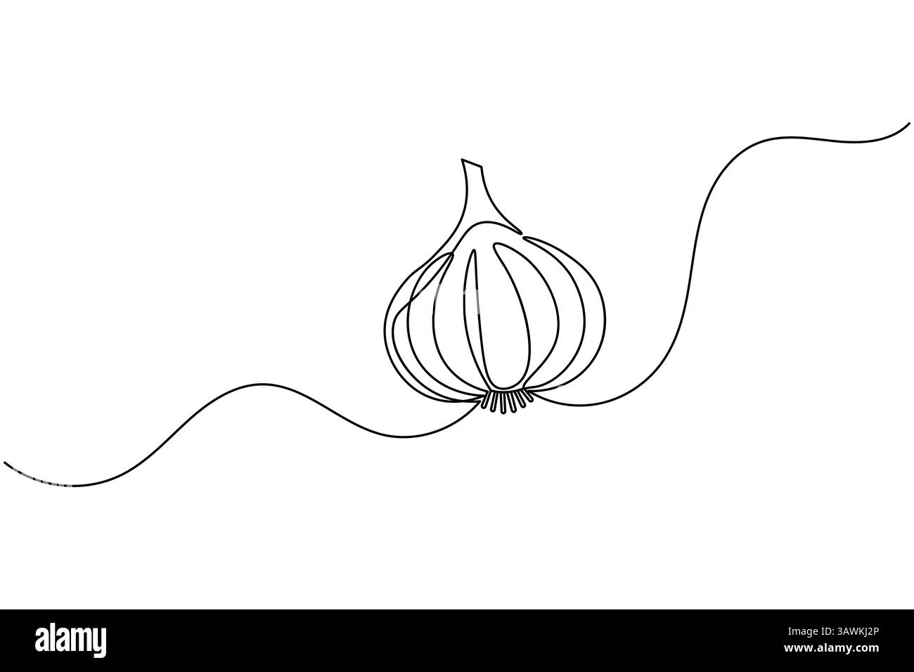 Garlic continuous one line drawing and minimalist style isolate outline ...