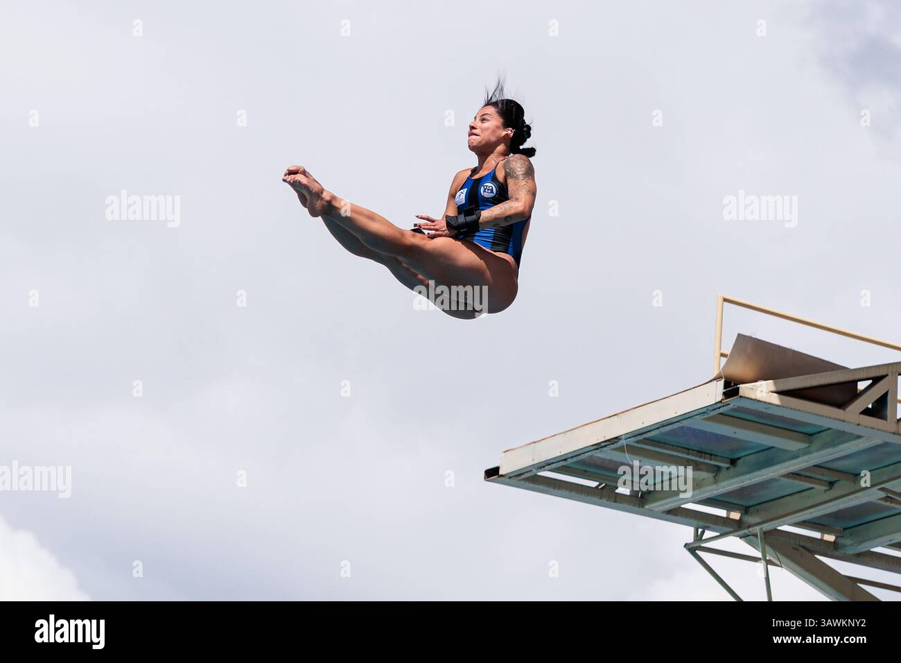 BRASÍLIA, DF - 19.04.2025: TROFÉU BRASIL DE SALTOS ORNAMENTAIS - Ingrid ...