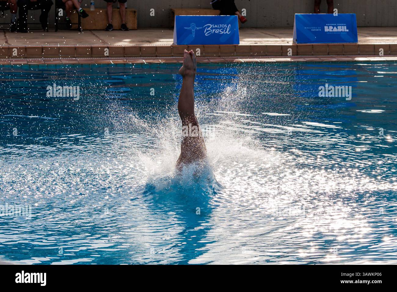 BRASÍLIA, DF - 19.04.2025: TROFÉU BRASIL DE SALTOS ORNAMENTAIS - Ingrid ...