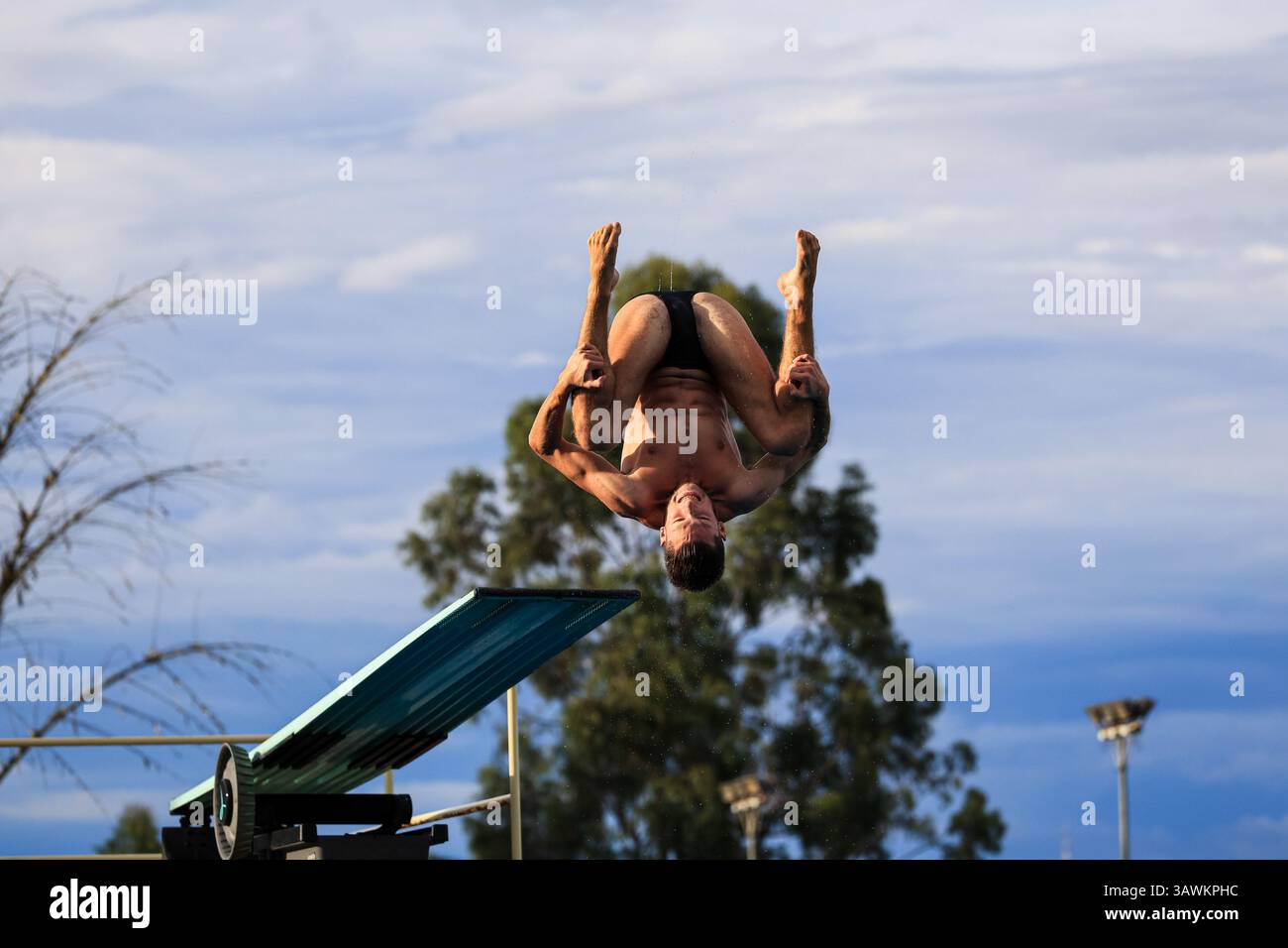BRASÍLIA, DF - 19.04.2025: TROFÉU BRASIL DE SALTOS ORNAMENTAIS ...