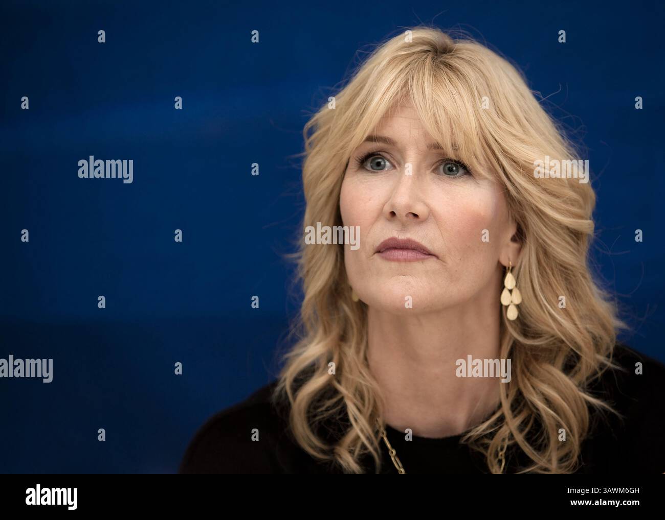 October 14, 2011 - Hollywood, California, U.S. - LAURA DERN promotes ...