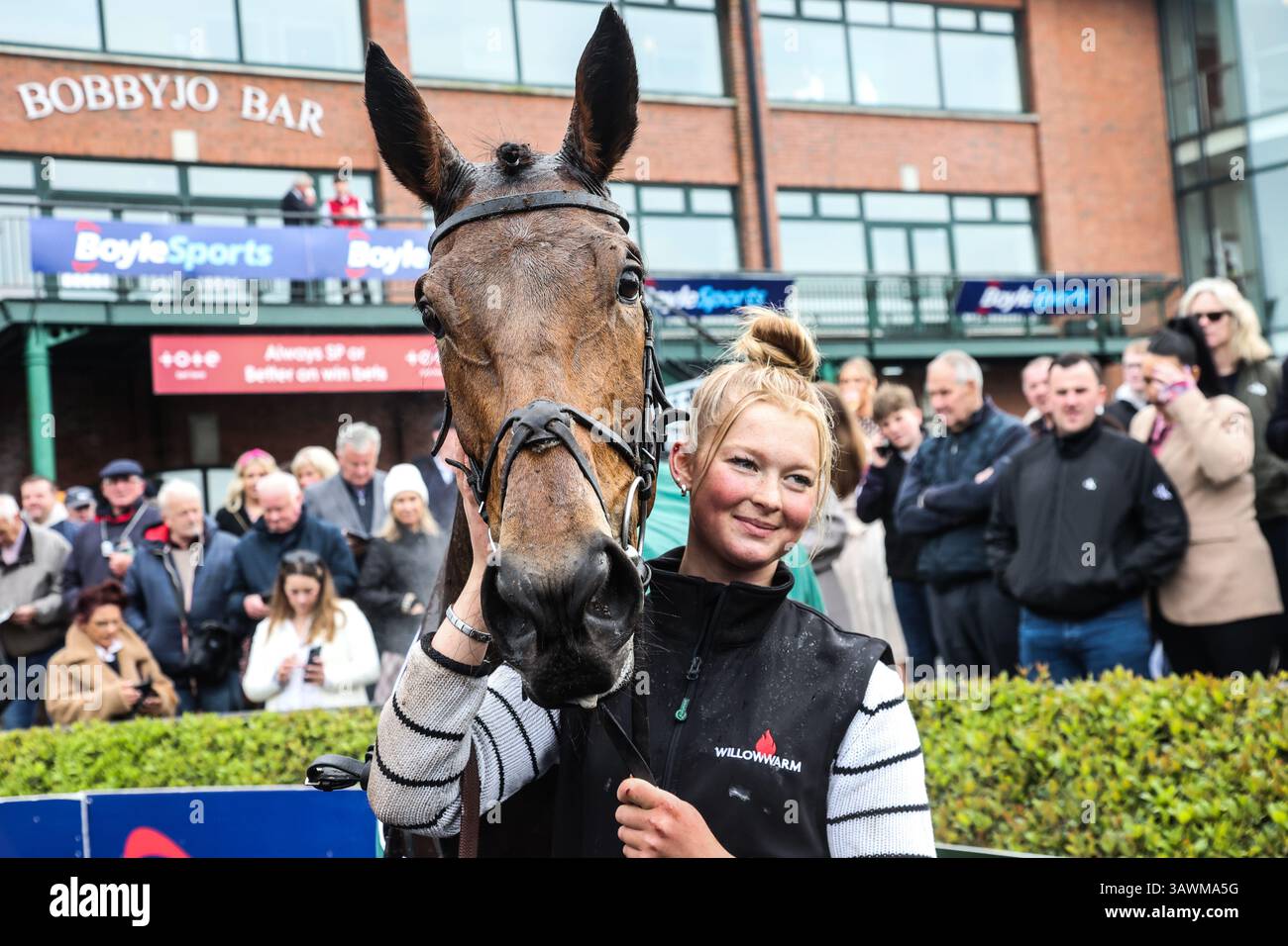 Spindleberry after winning the WillowWarm Gold Cup at Fairyhouse ...
