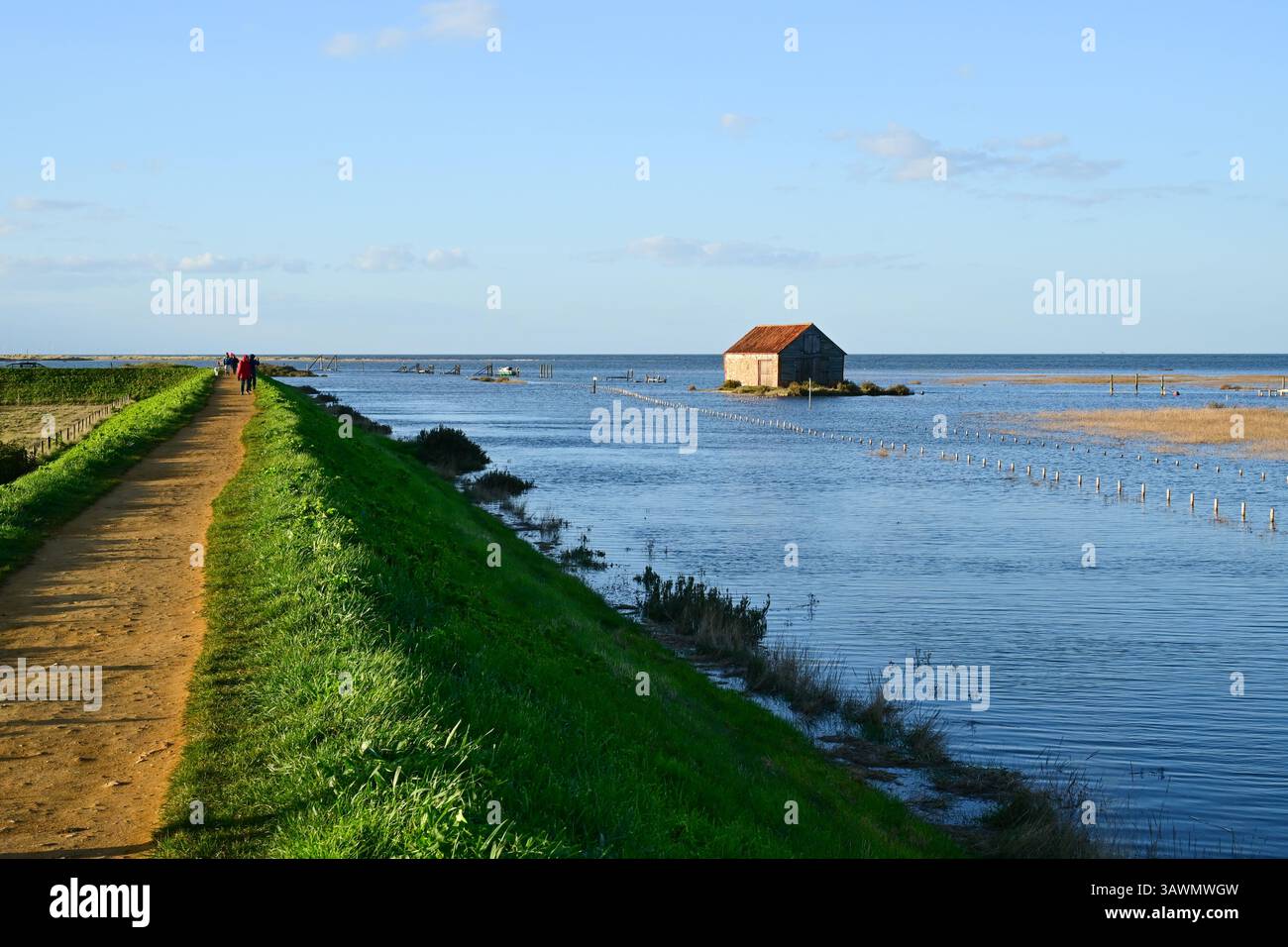 High tide flooding of the marshes and road access around the old coal ...