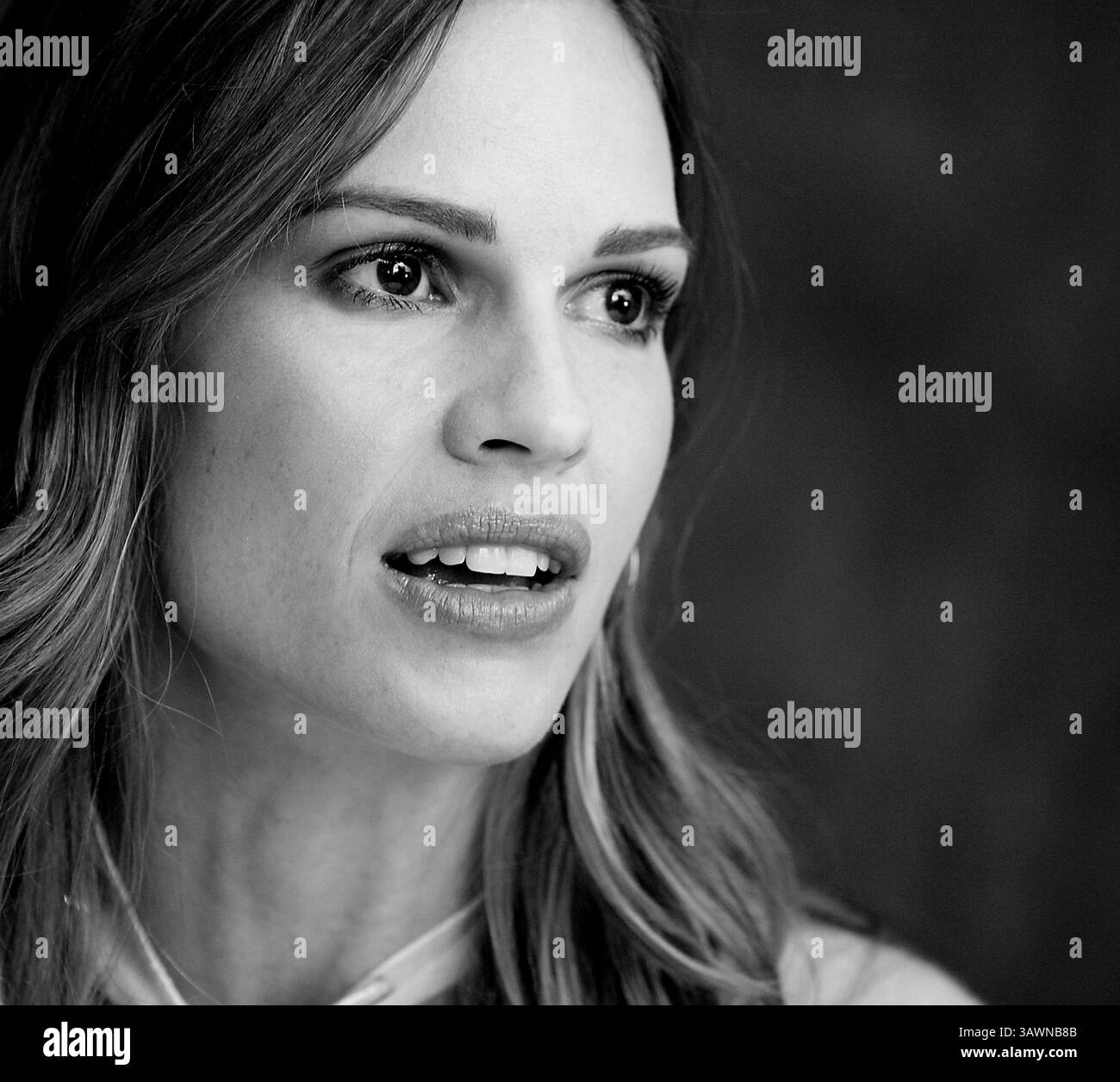 December 2, 2004 - Hollywood, California, U.S. - Hilary Swank and Al ...