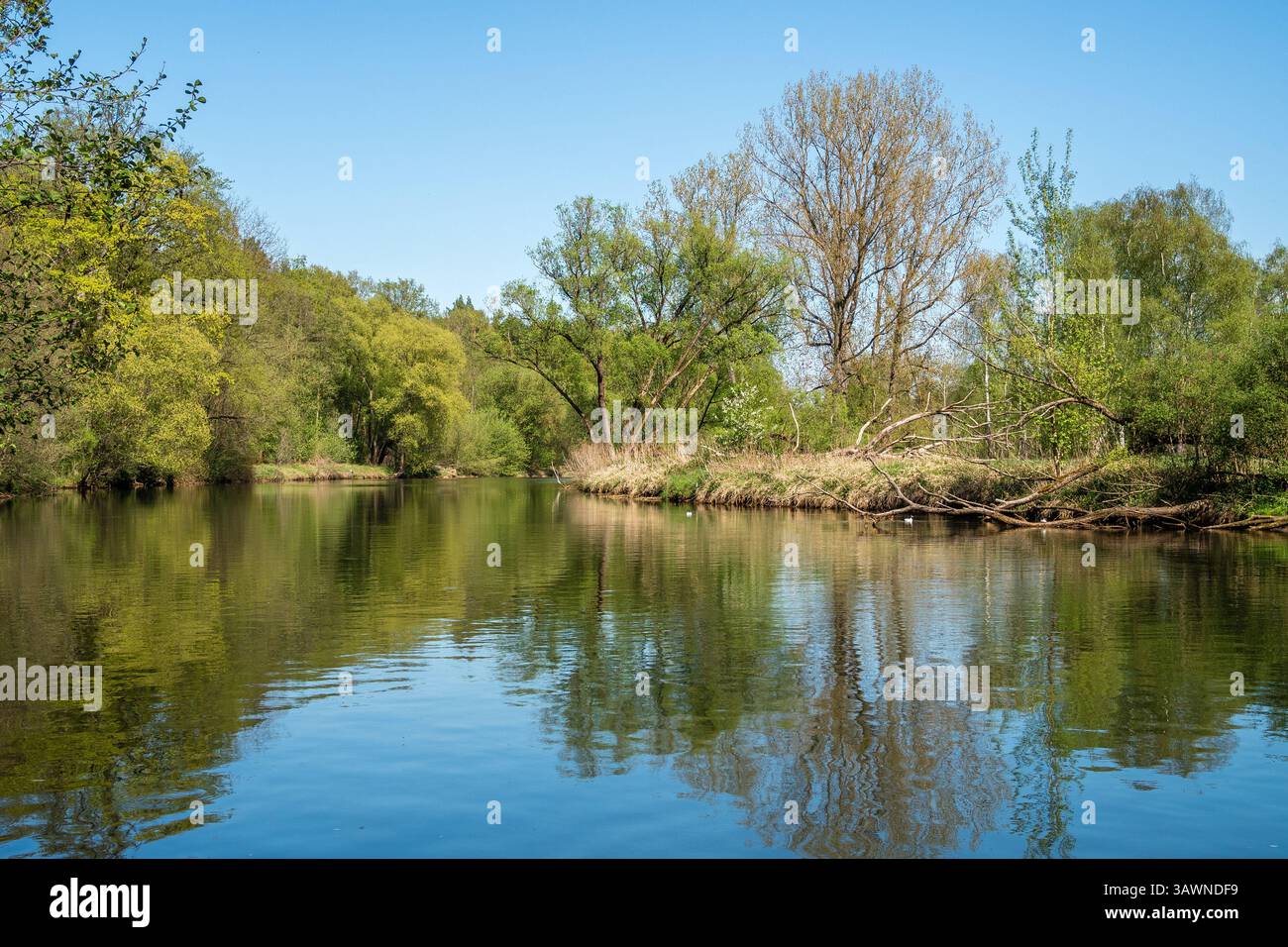 20 April 2025, Brandenburg, Bräsinchen: The river Spree flows calmly ...