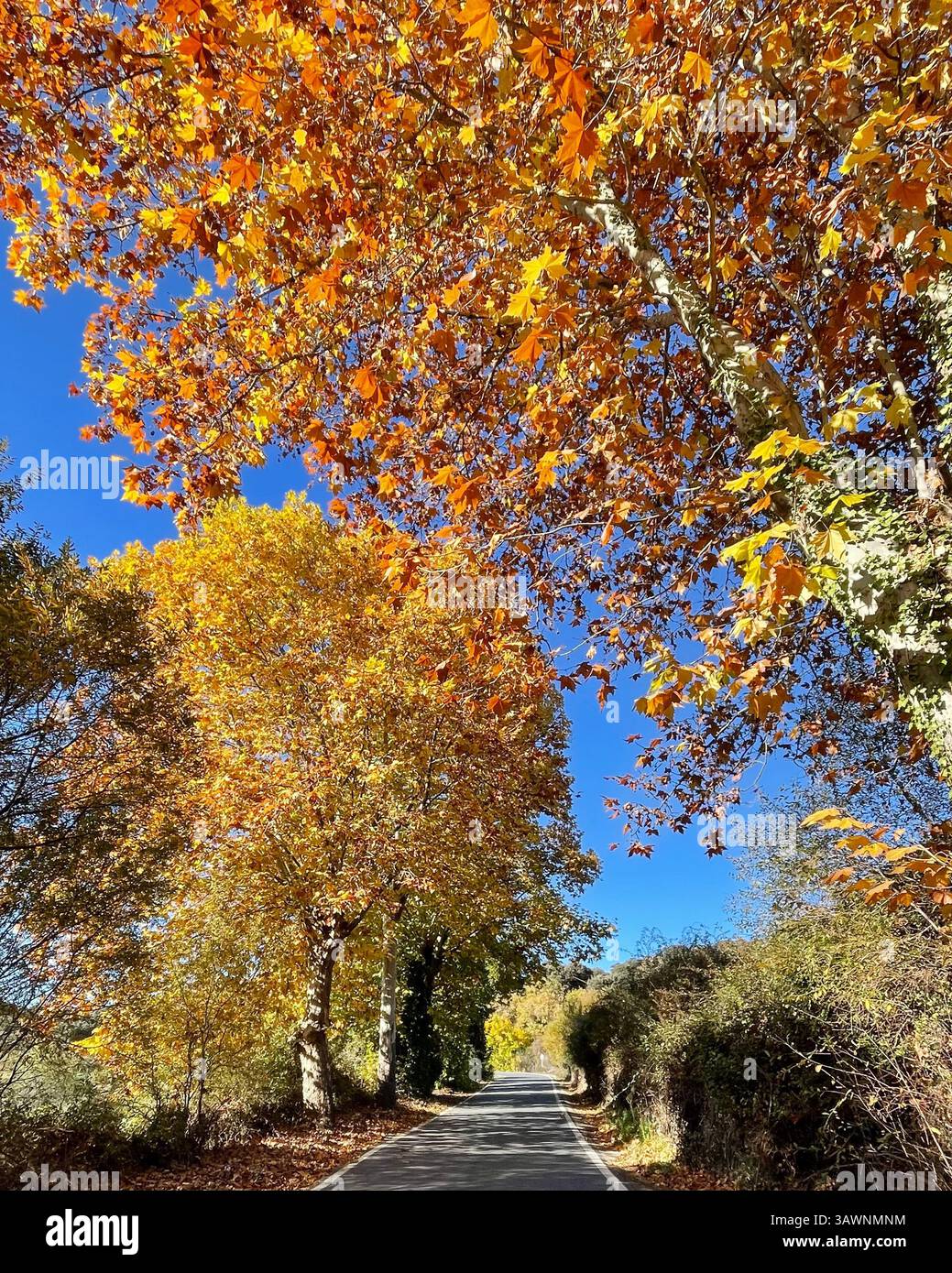 Landscape road passing through smartphone stock photos and images - Alamy