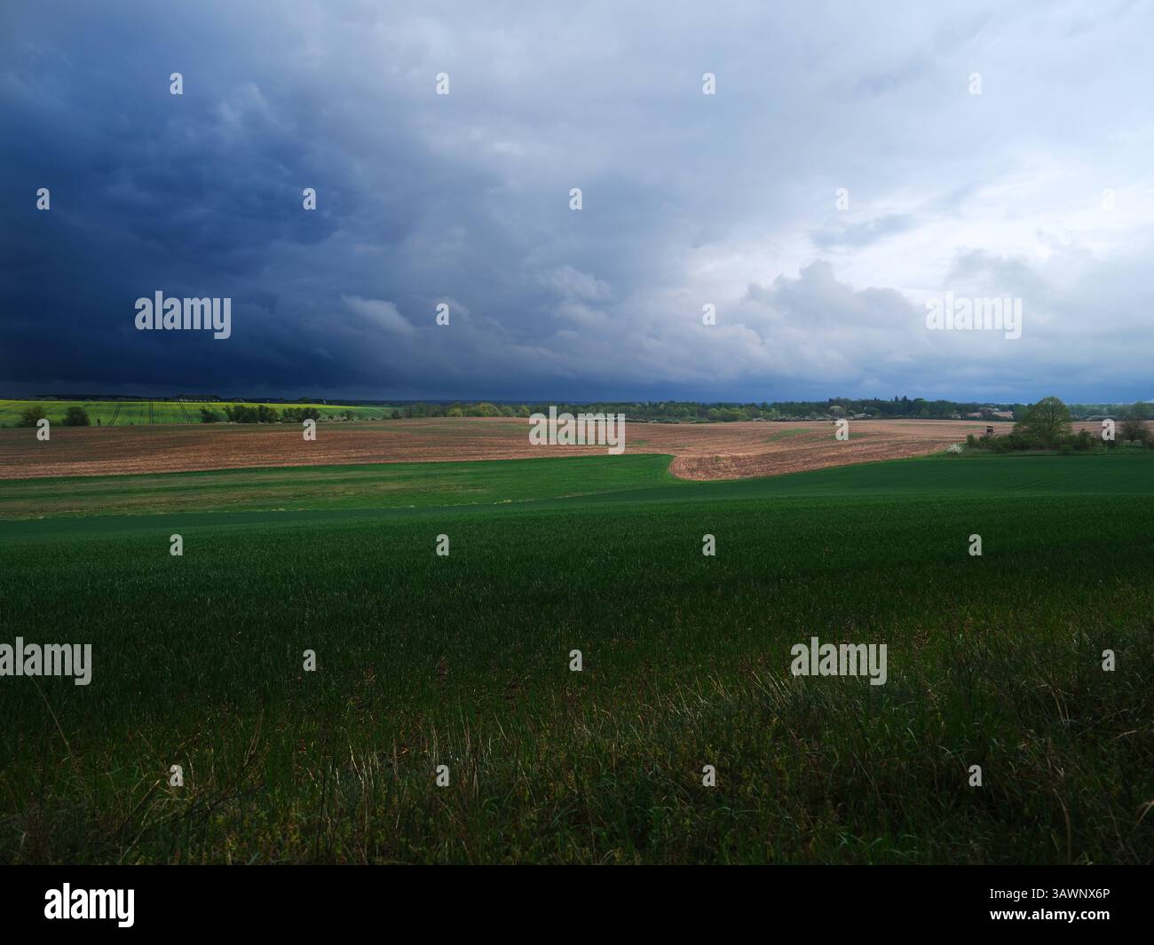 Uckermark GER, Deutschland, 20250420,Uckermark, Landschaftsaufnahme ...