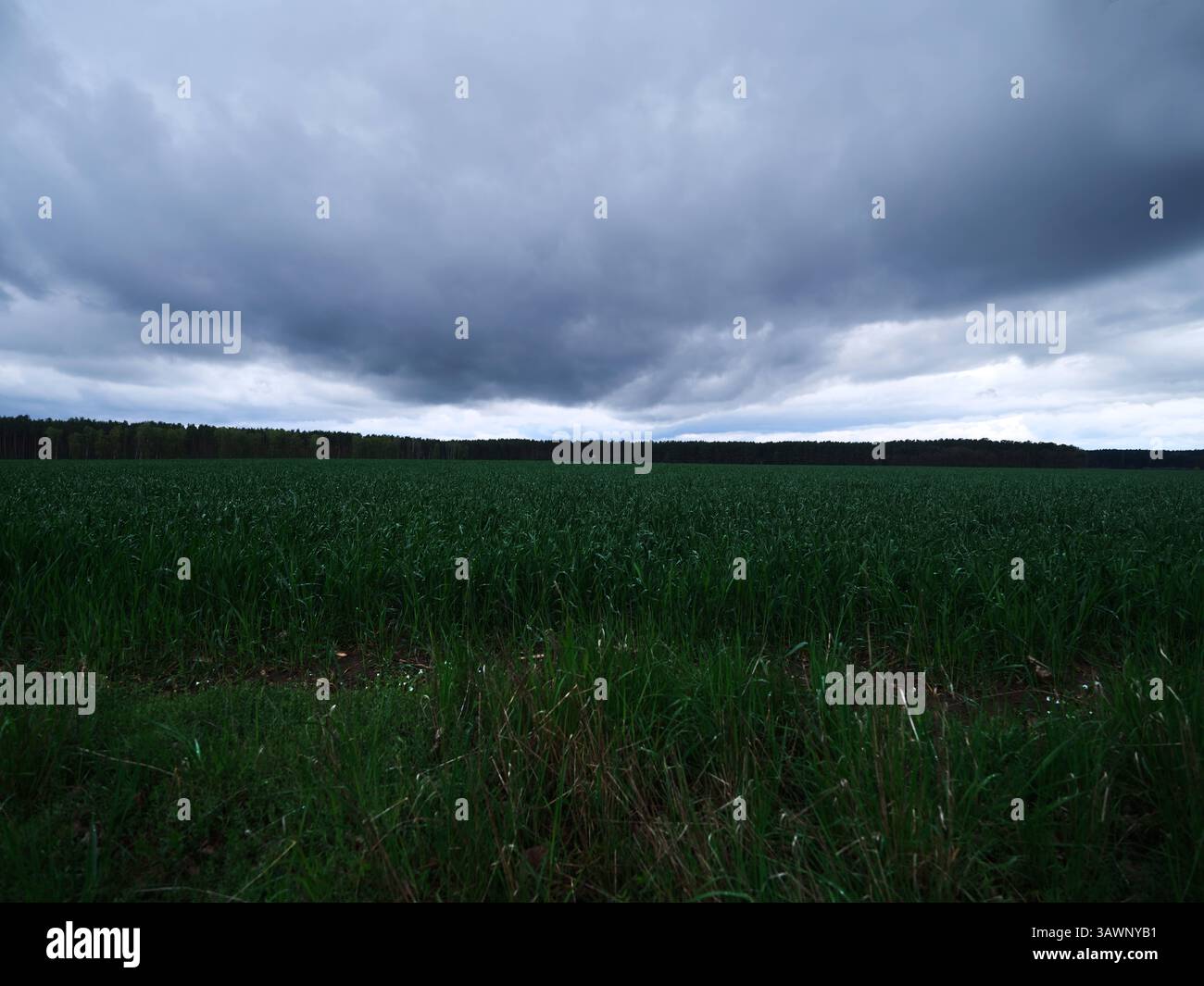 Uckermark GER, Deutschland, 20250420,Uckermark, Landschaftsaufnahme ...