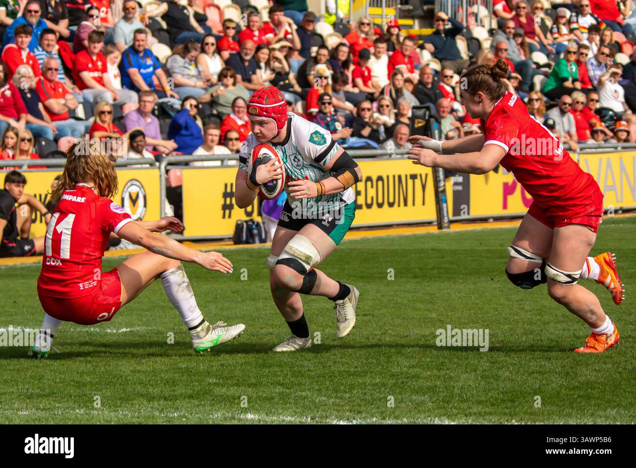 Newport, UK, 20th April 2025 Ireland number 8 Aoife Wafer scores a try ...