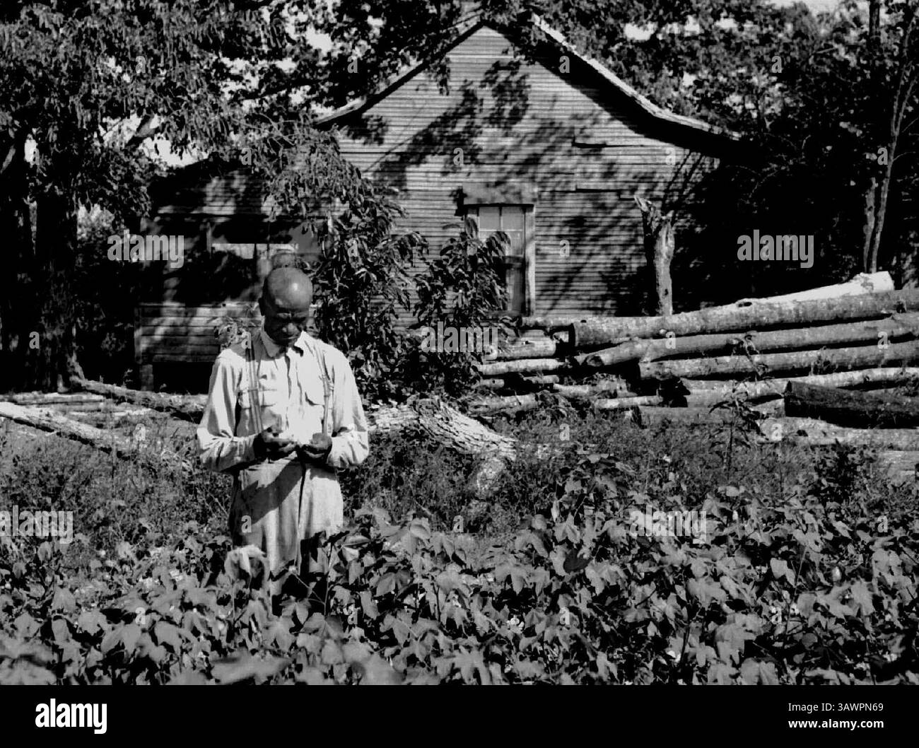 Sept 1, 1955 - Money, Mississippi, U.S. - Grieving over the brutal ...