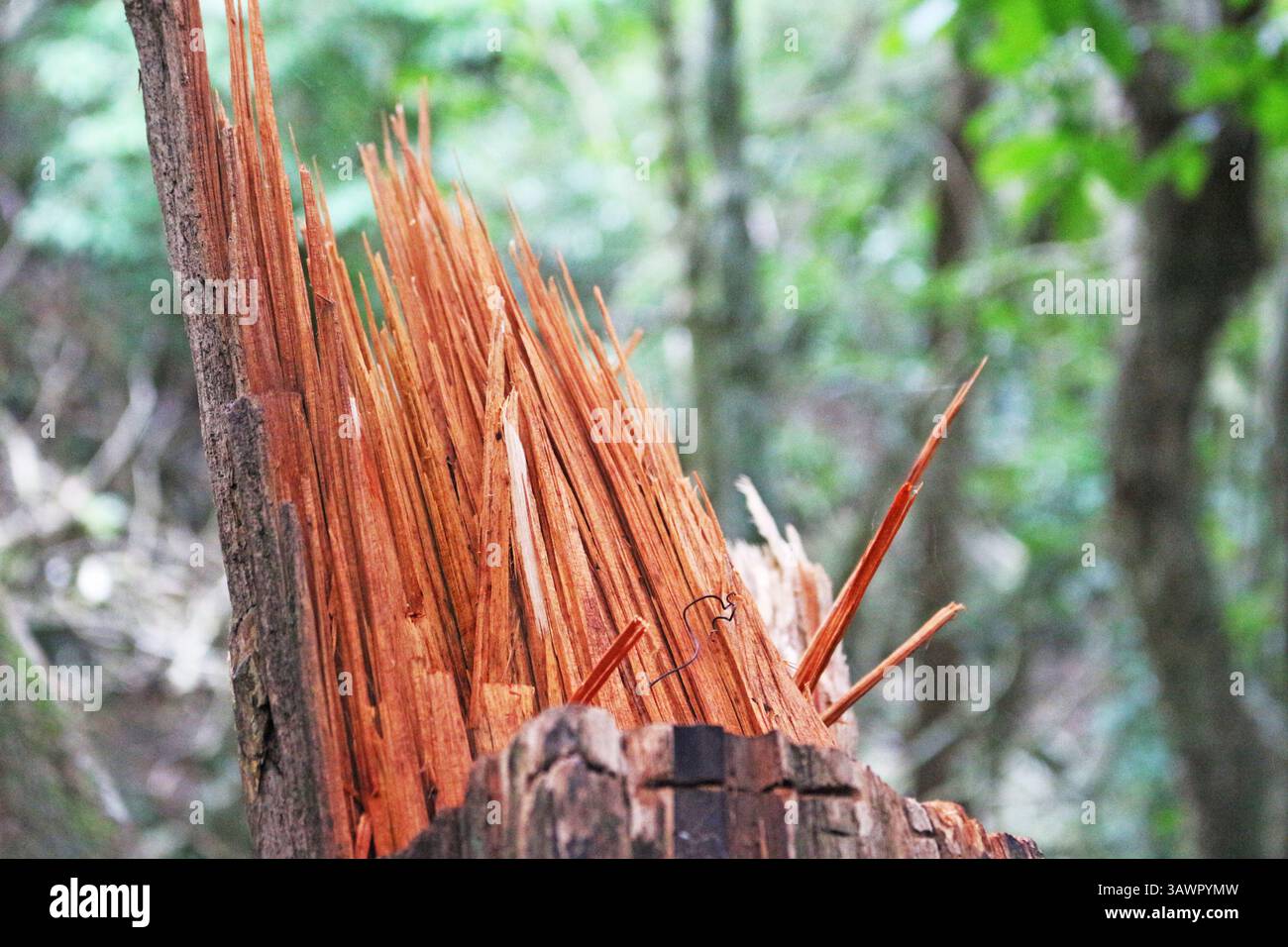 Action of the winds hi-res stock photography and images - Alamy