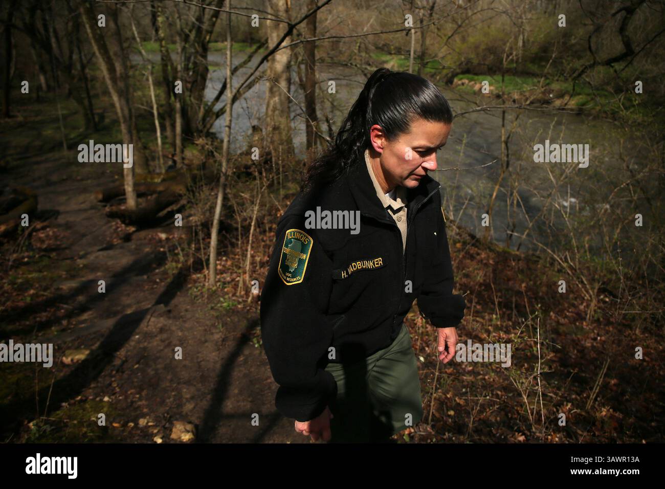 Holly hog hi-res stock photography and images - Alamy