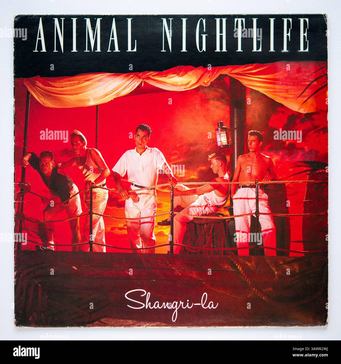 LP cover of Shangri-La, the debut studio album by Animal Nightlife ...