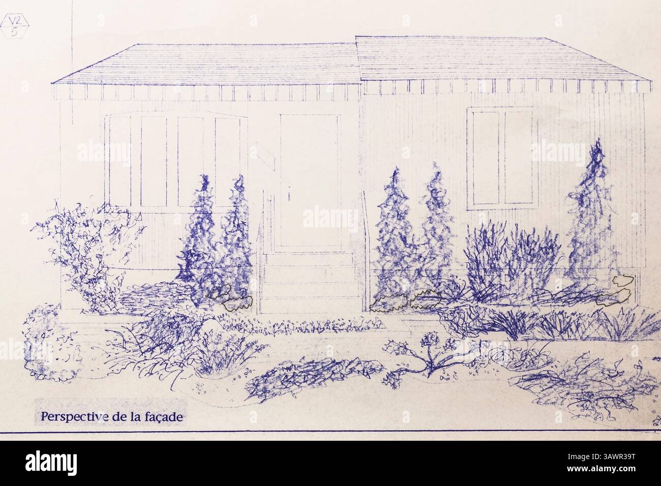 Landscaping blueprint for planting of coniferous trees and shrubs in ...