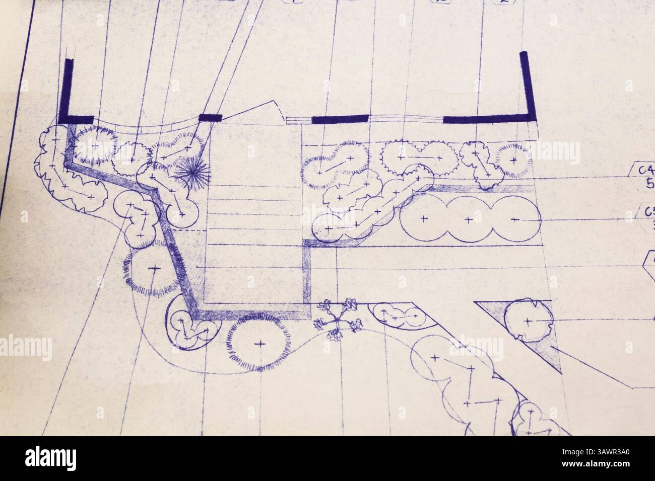 Overhead view of landscaping blueprint for planting of coniferous trees ...