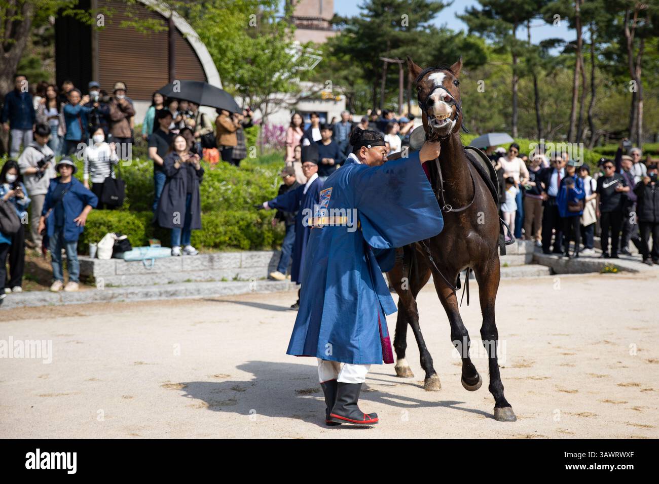 A handler calms an agitated horse used in the ceremony as it rears near ...