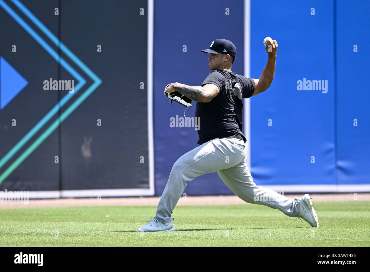 New York Yankees pitcher Fernando Cruz throws in the outfield before a ...