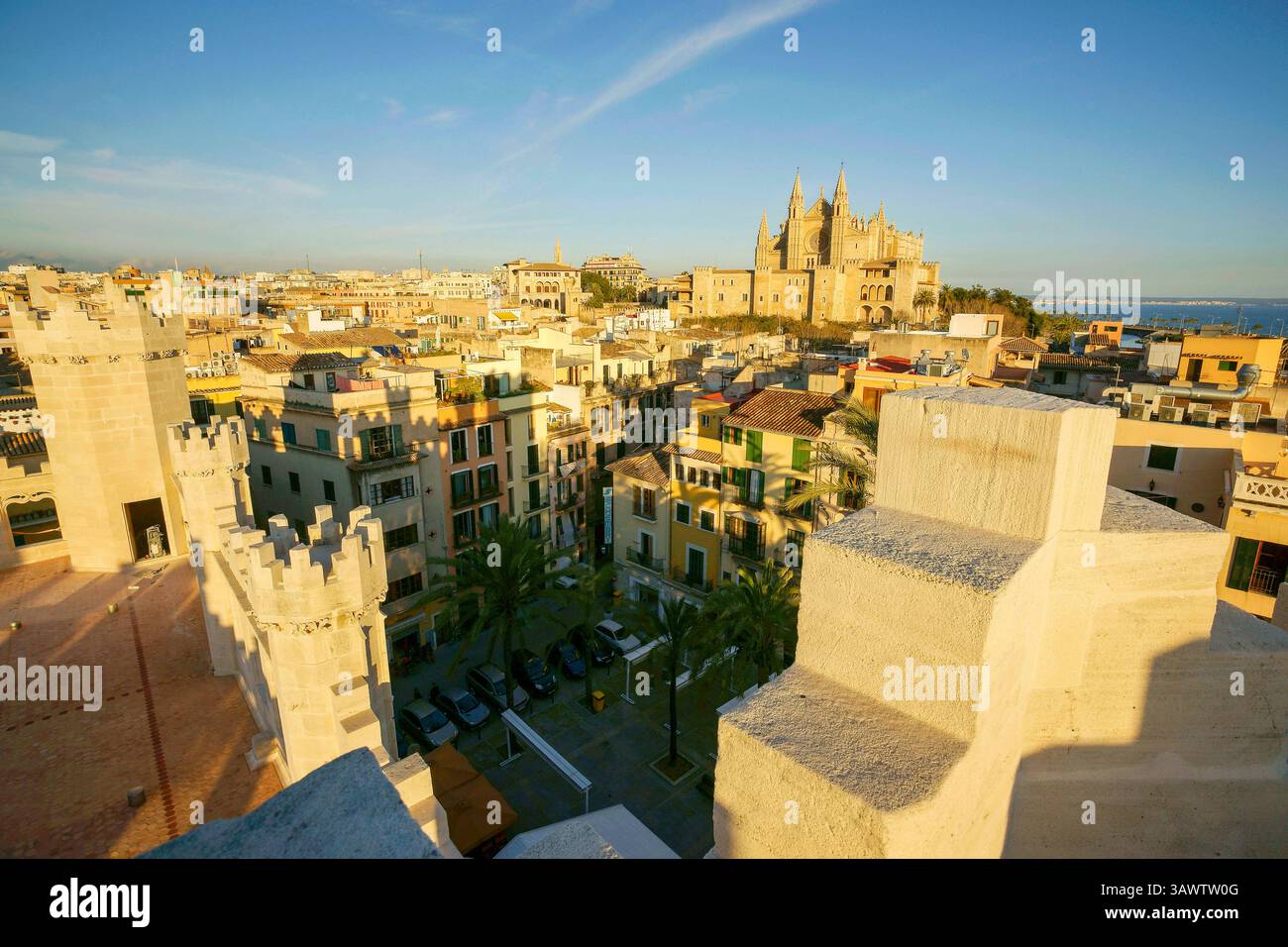 Palma Cathedral from La Lonja. La Llotja, 15th century. Palma, Mallorca ...
