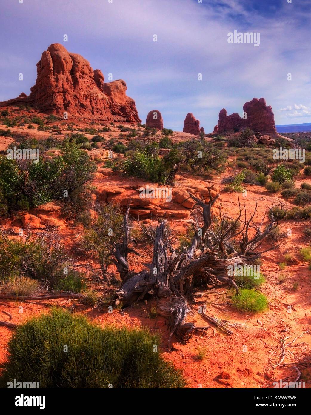 Arches national monument soil hi-res stock photography and images - Alamy