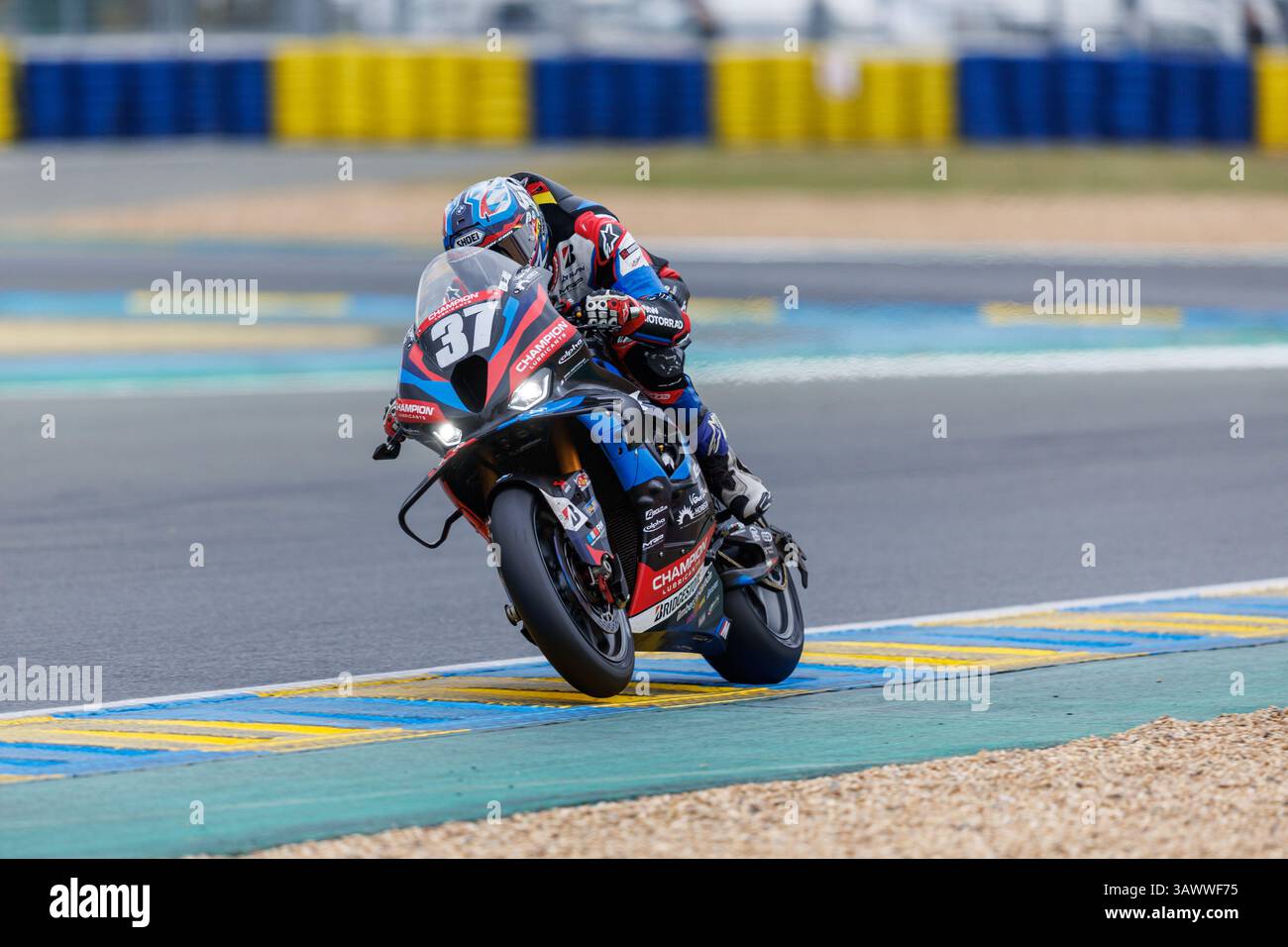 37 BMW MOTORRAD WORLD ENDURANCE TEAM (BEL), BMW M 1000 RR, REITERBERGER ...