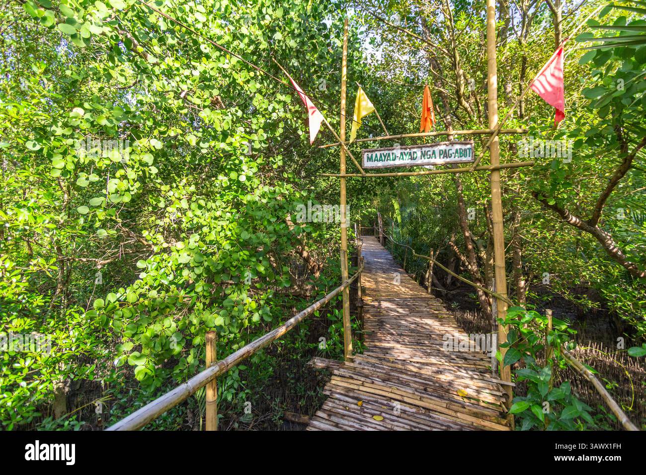 A scenic bamboo walkway winds through the lush mangrove forest of ...