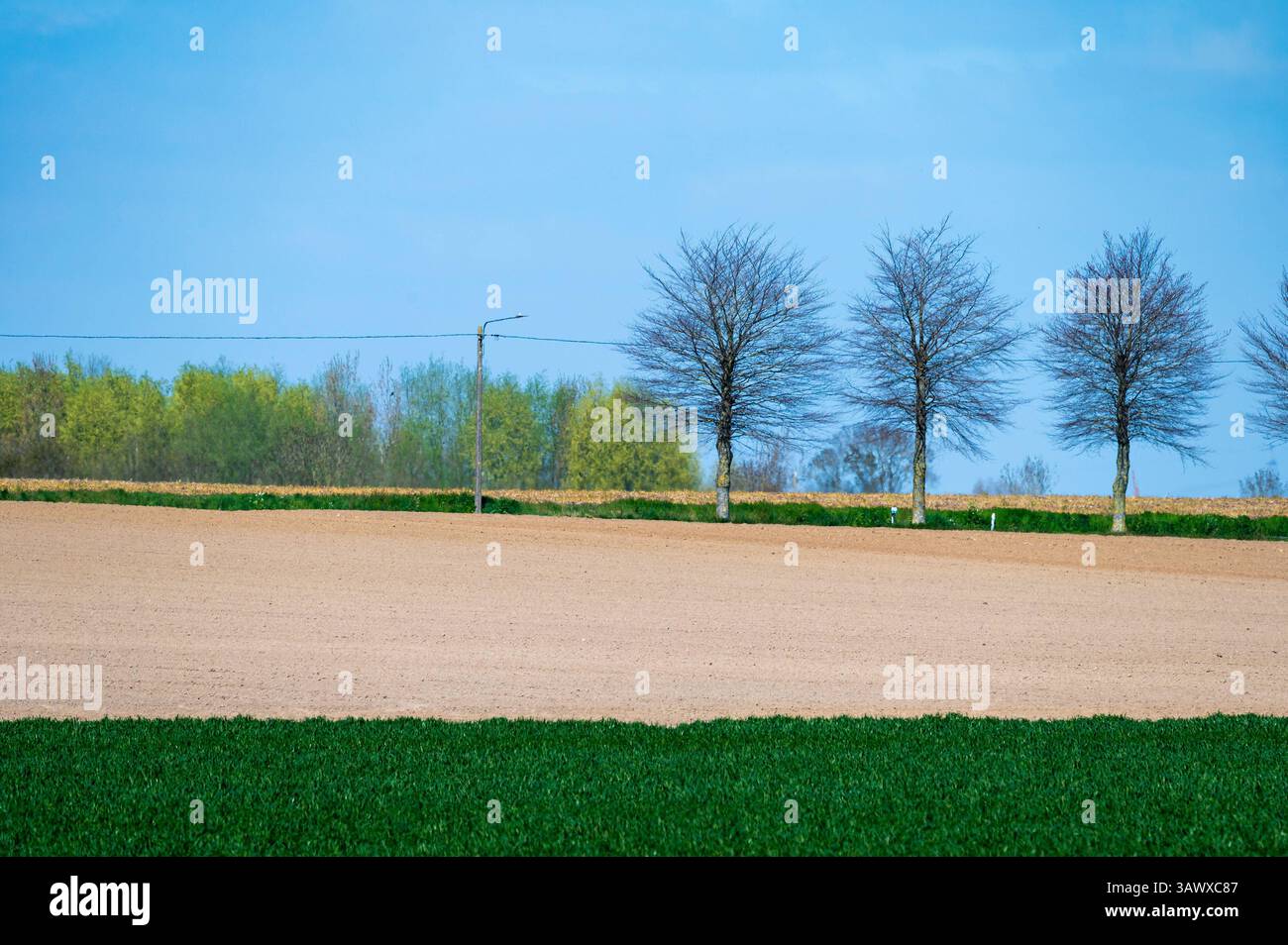 Farmland with growing green crops at the countryside in Avelgem, West ...