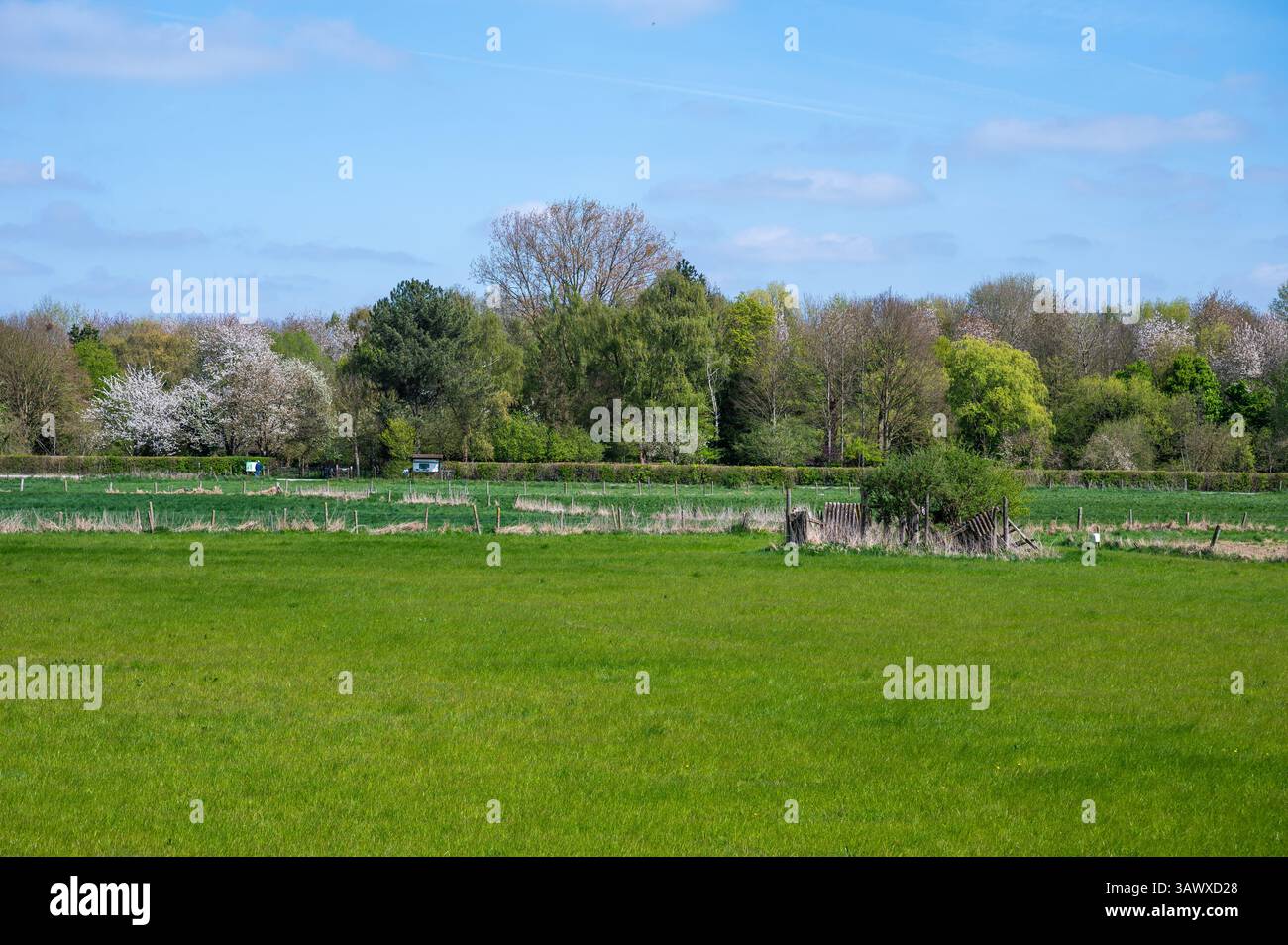 Green lawns and trees at the countryside in Avelgem, West Flanders ...