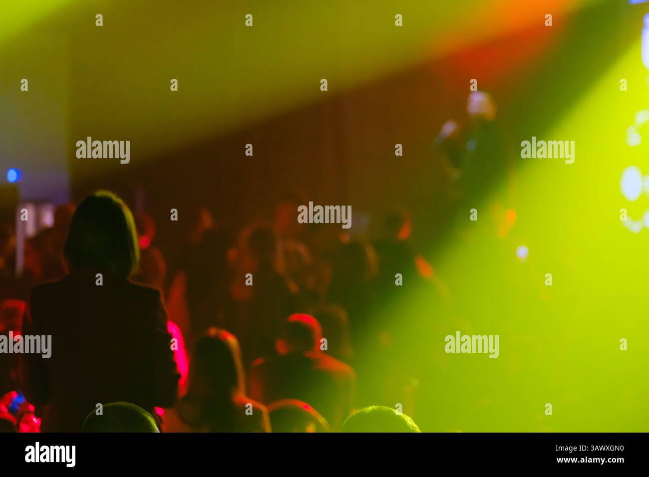 Crowd of individuals enjoying music show under vibrant stage lighting ...