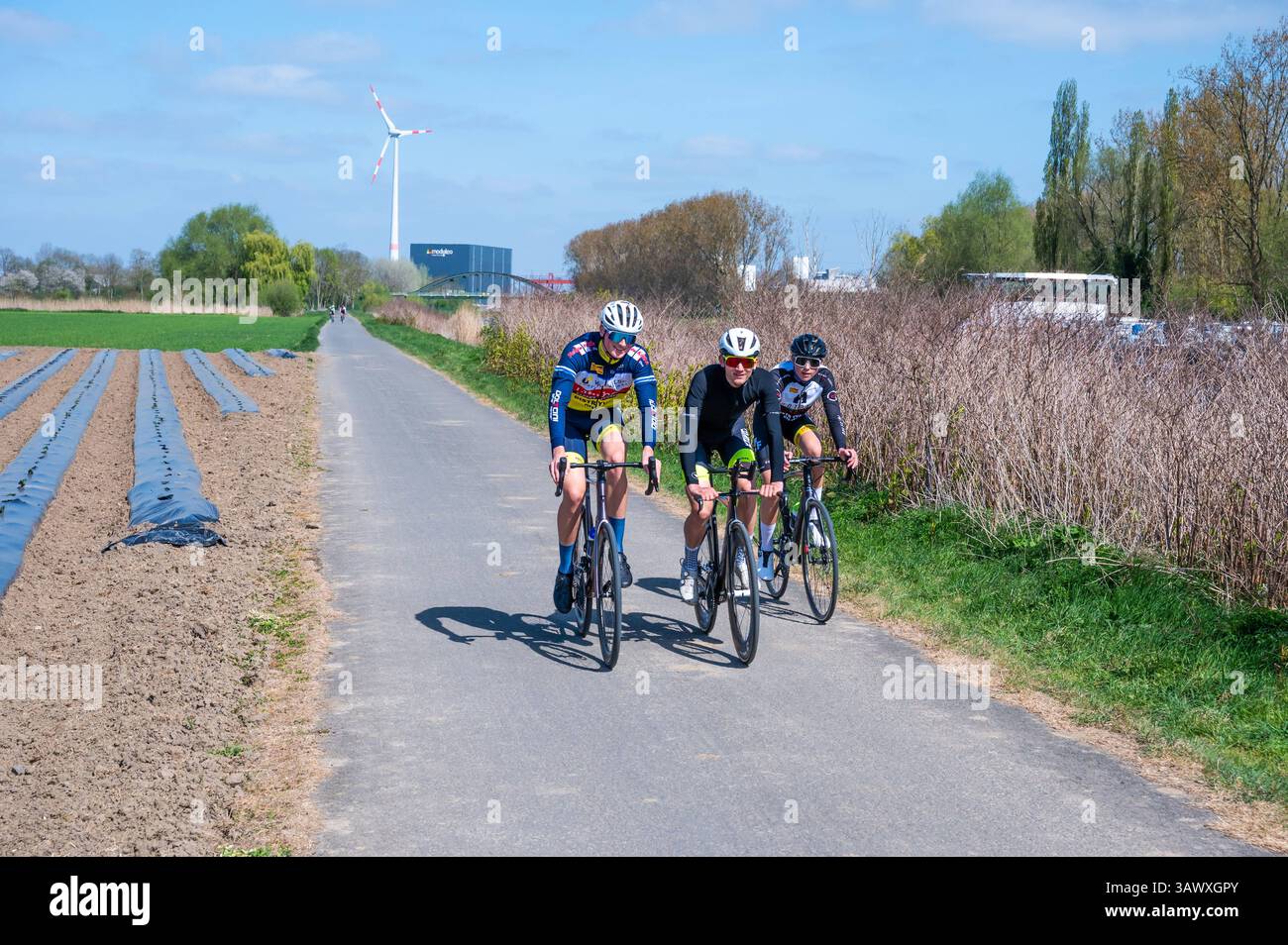 Recreation cyclist friends at the banks of the river Scheldt Celles ...