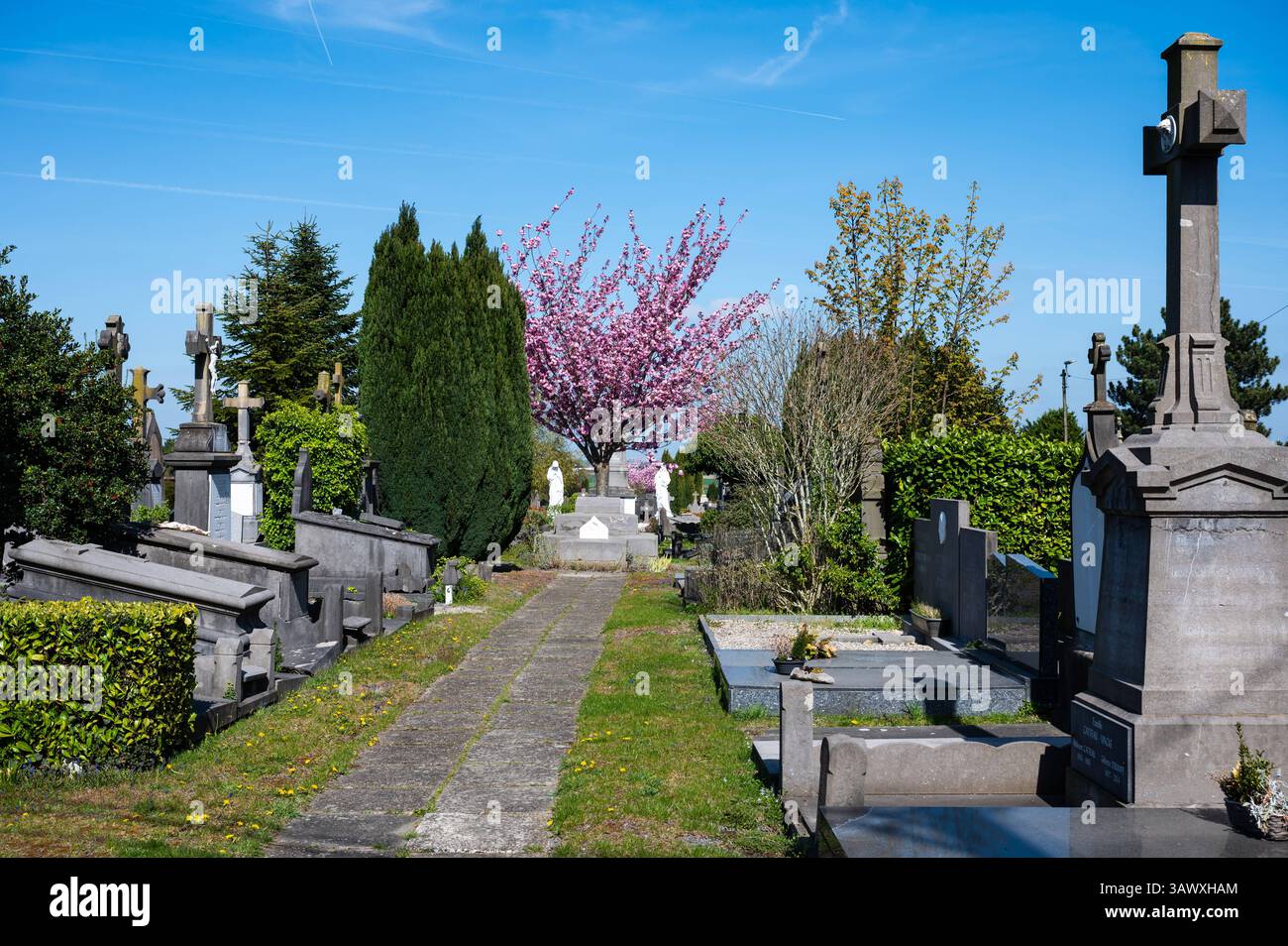 Commonwealth War Graves from WW I in Dottignies, Mouscron, Hainaut ...