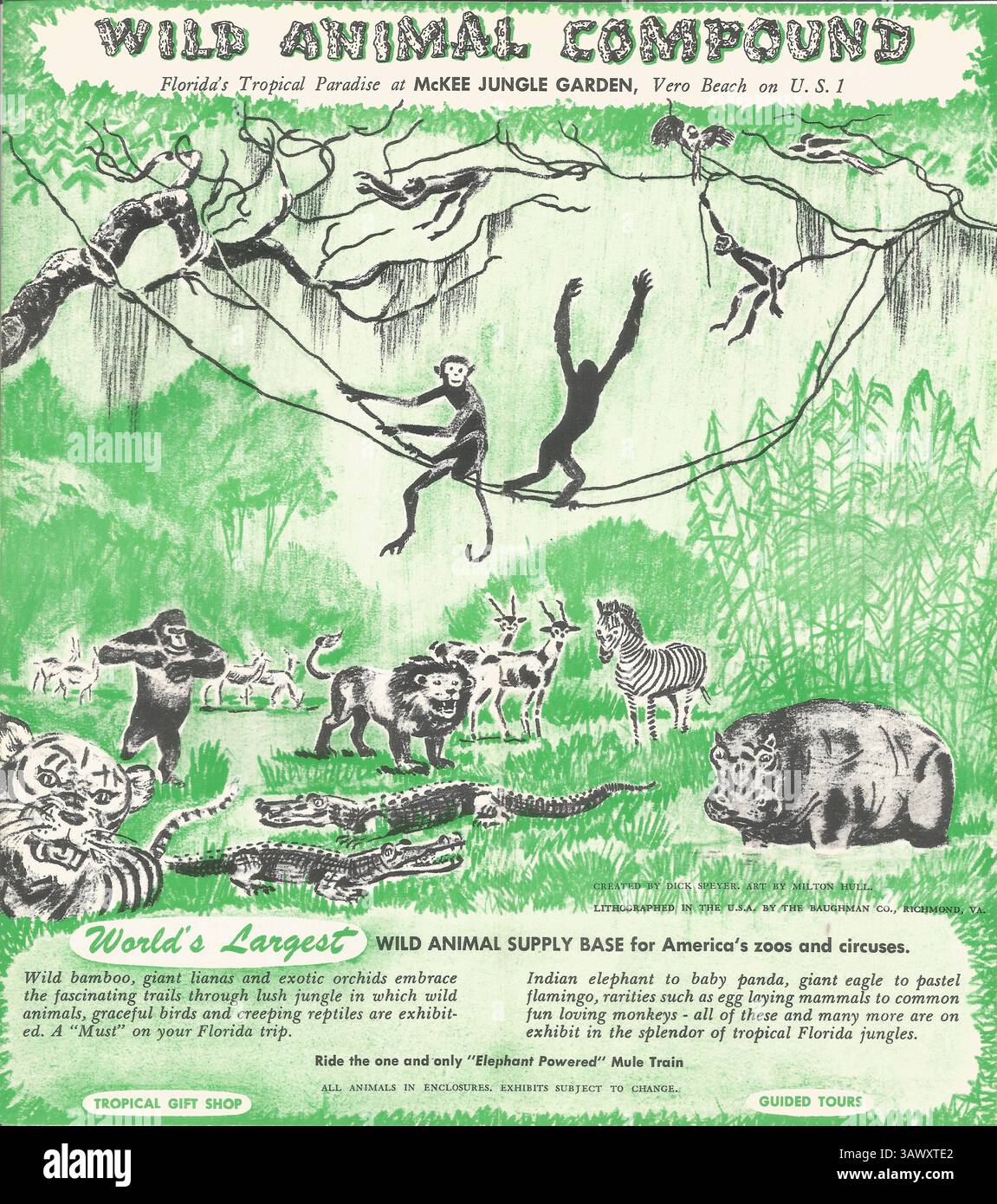 Wild Animal Compound, Vero Beach, Florida. Operated in the 1950s and ...