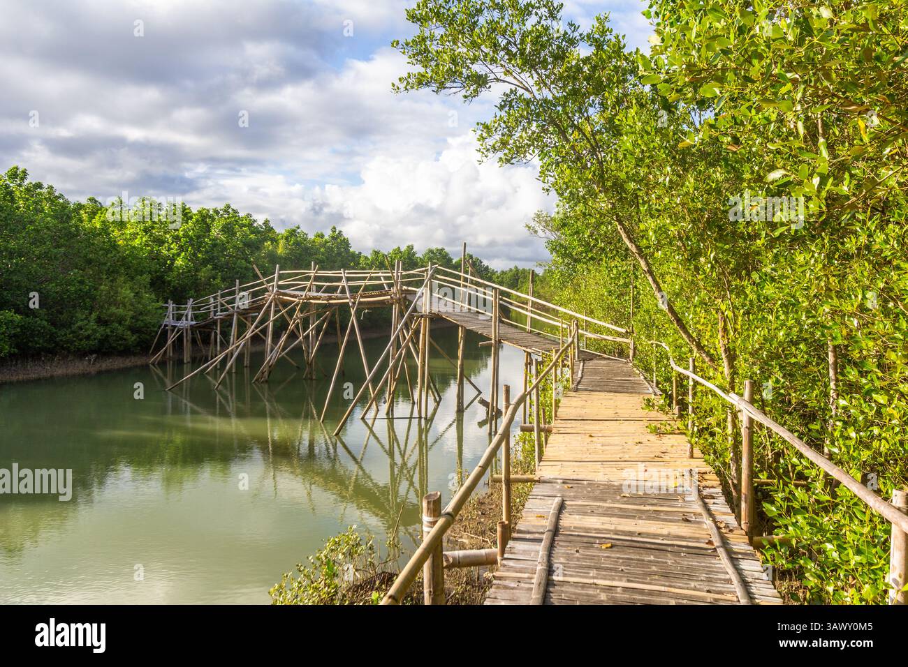 A bamboo walkway and bridge span a river leading into the mangrove ...