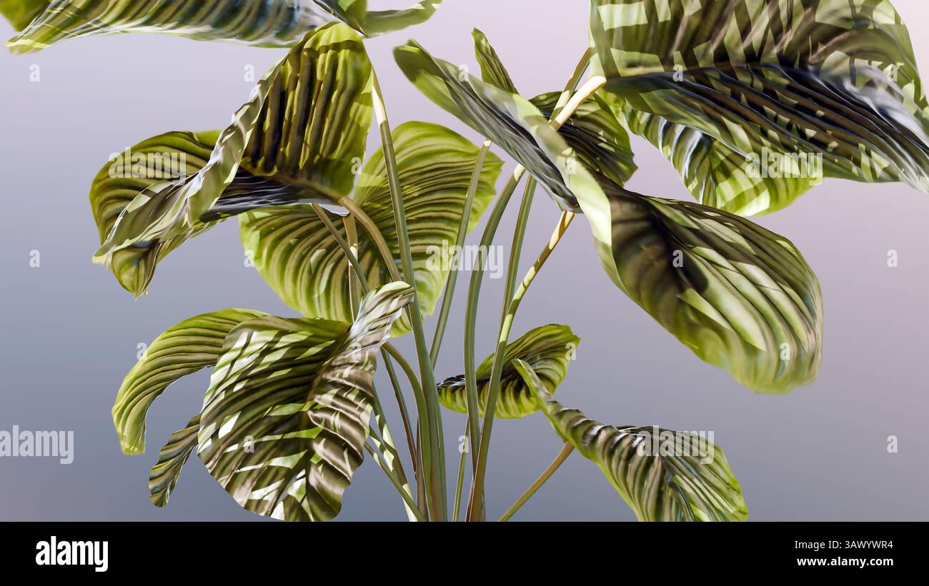 Growing plants technologies, Photosynthesis, biology of nature ...