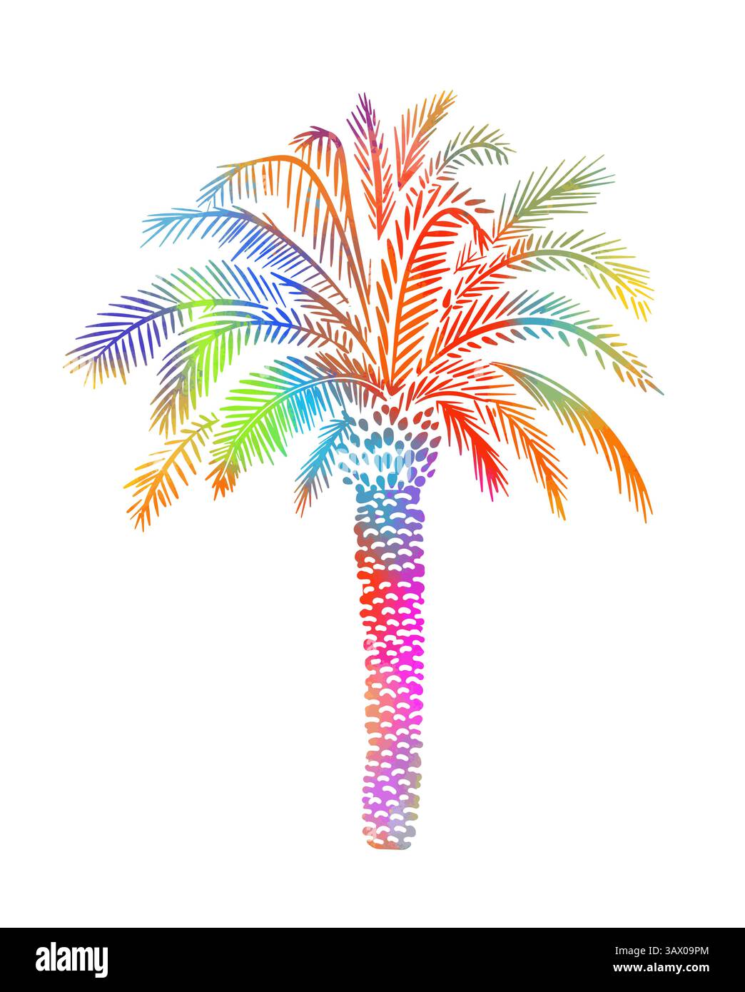 Colored palm tree. hand drawn. Not AI, Vector illustration Stock Vector ...