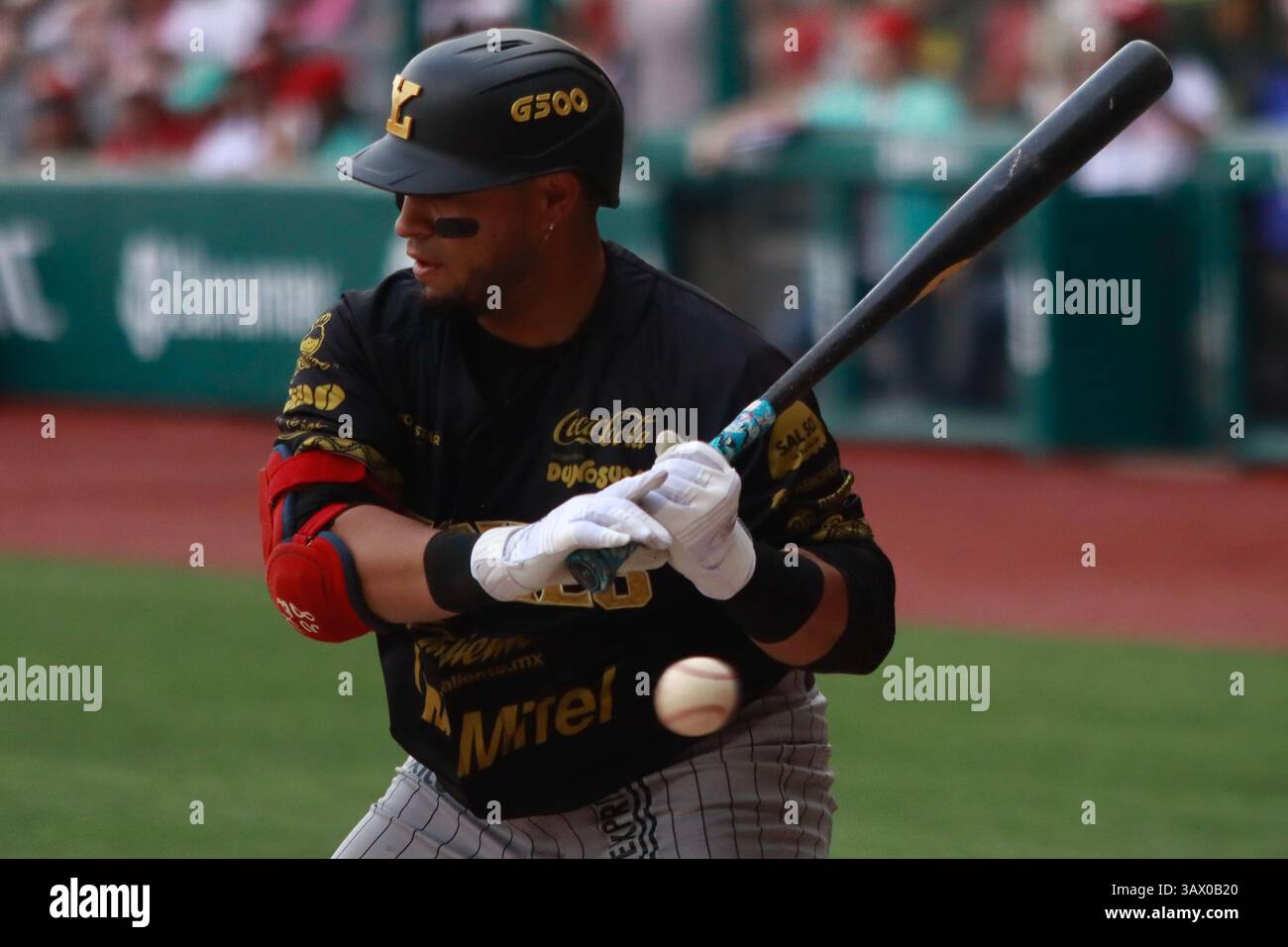 Ramon Cabrera #28 of Leones de Yucatan at bat during the inaugural ...