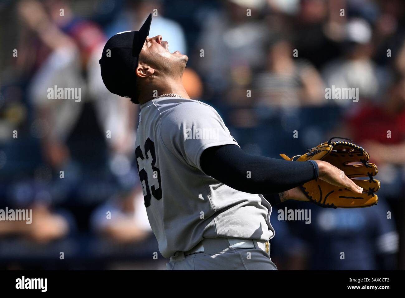 New York Yankees pitcher Fernando Cruz (63) celebrates after getting ...