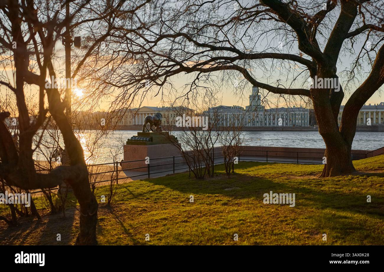 Admiralty embankment with lion monuments at the Palace Bridge at sunset ...