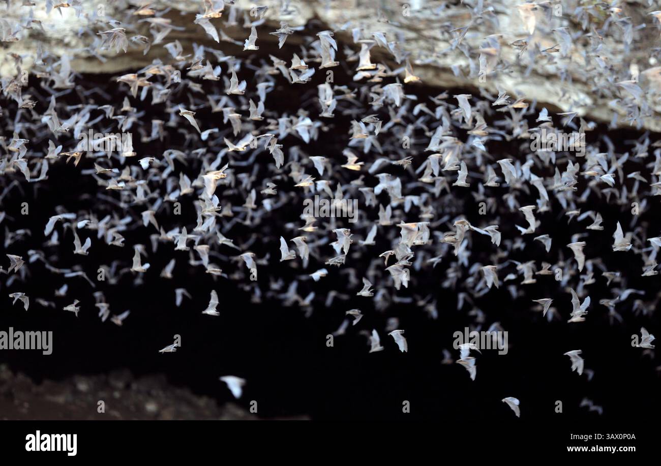 Aug 4, 2016 - Garden Ridge, Texas, U.S. - Girl scouts witness the ...
