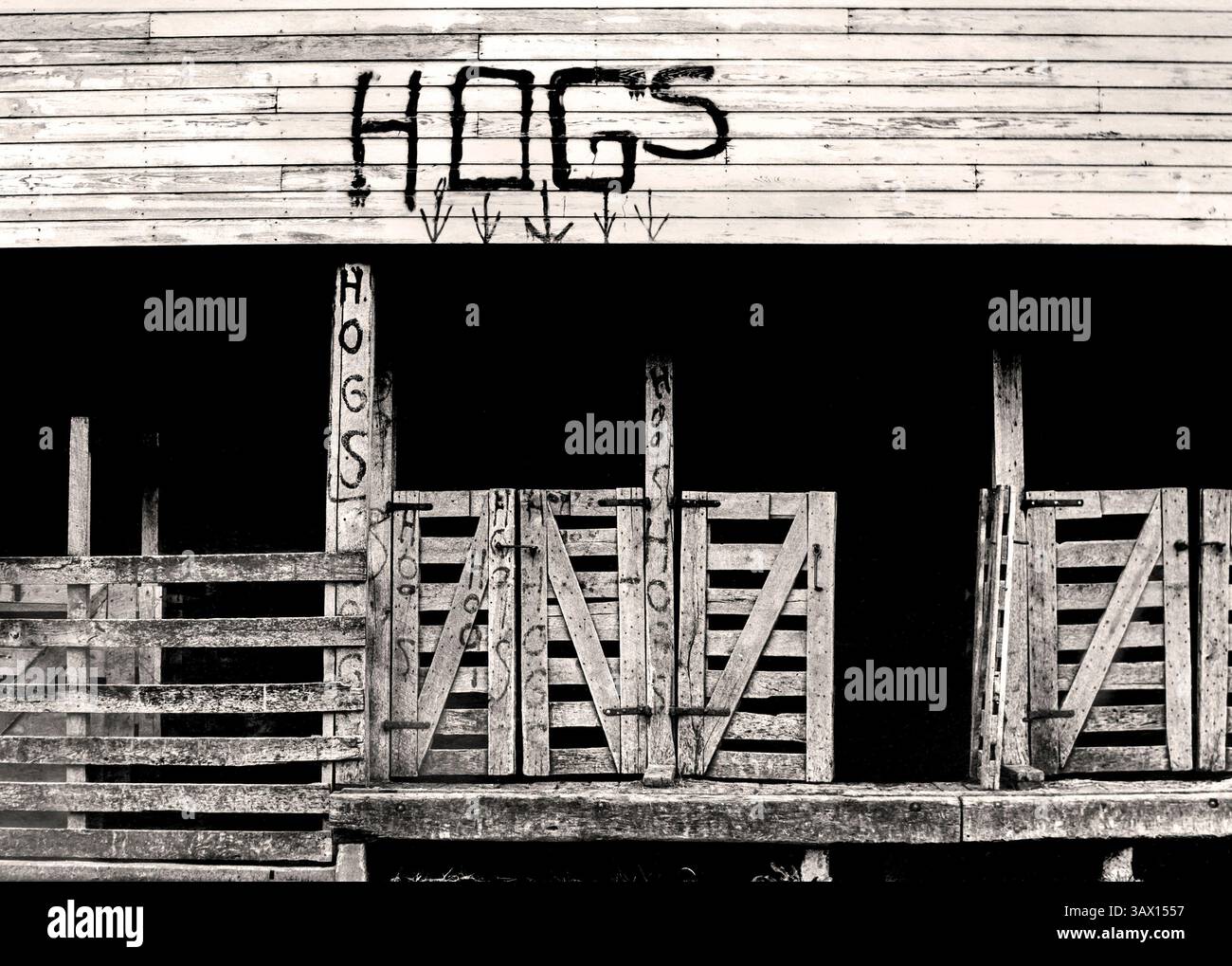 1970s pigs in pens pens hi-res stock photography and images - Alamy