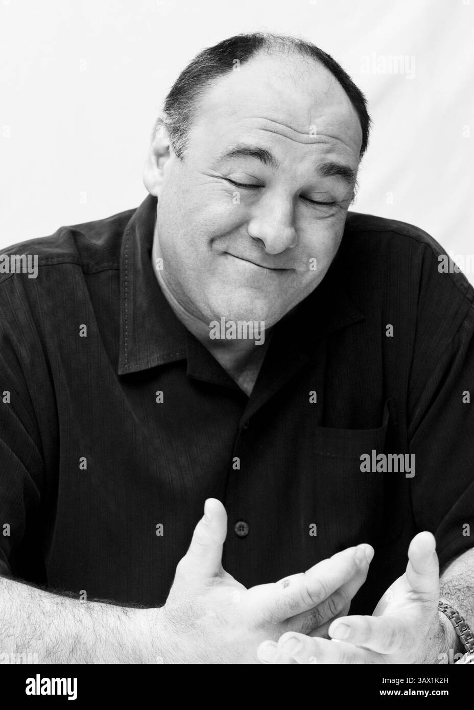 Gandolfini james Black and White Stock Photos & Images - Alamy