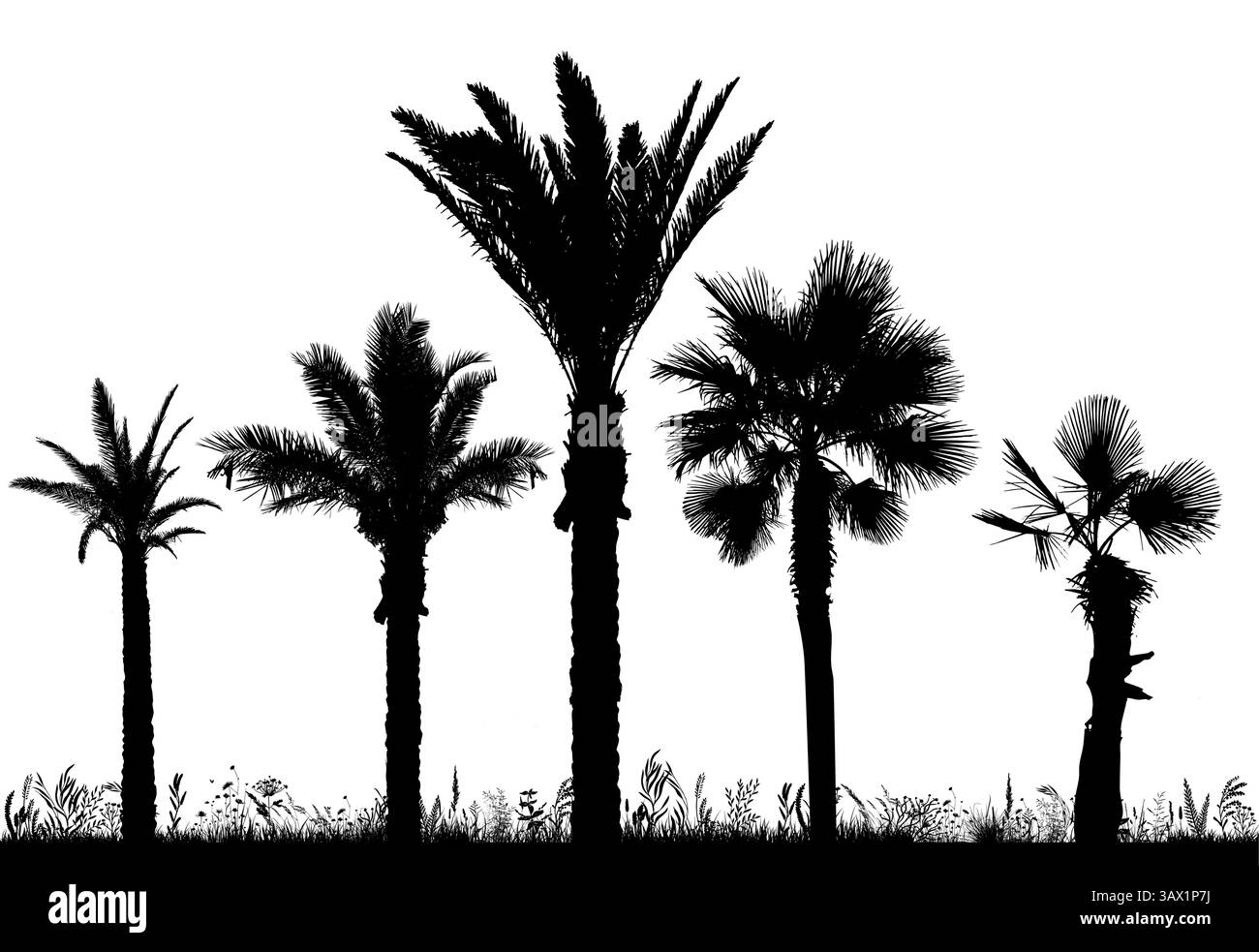 Palm trees silhouette. Not AI, Vector illustration Stock Vector Image ...