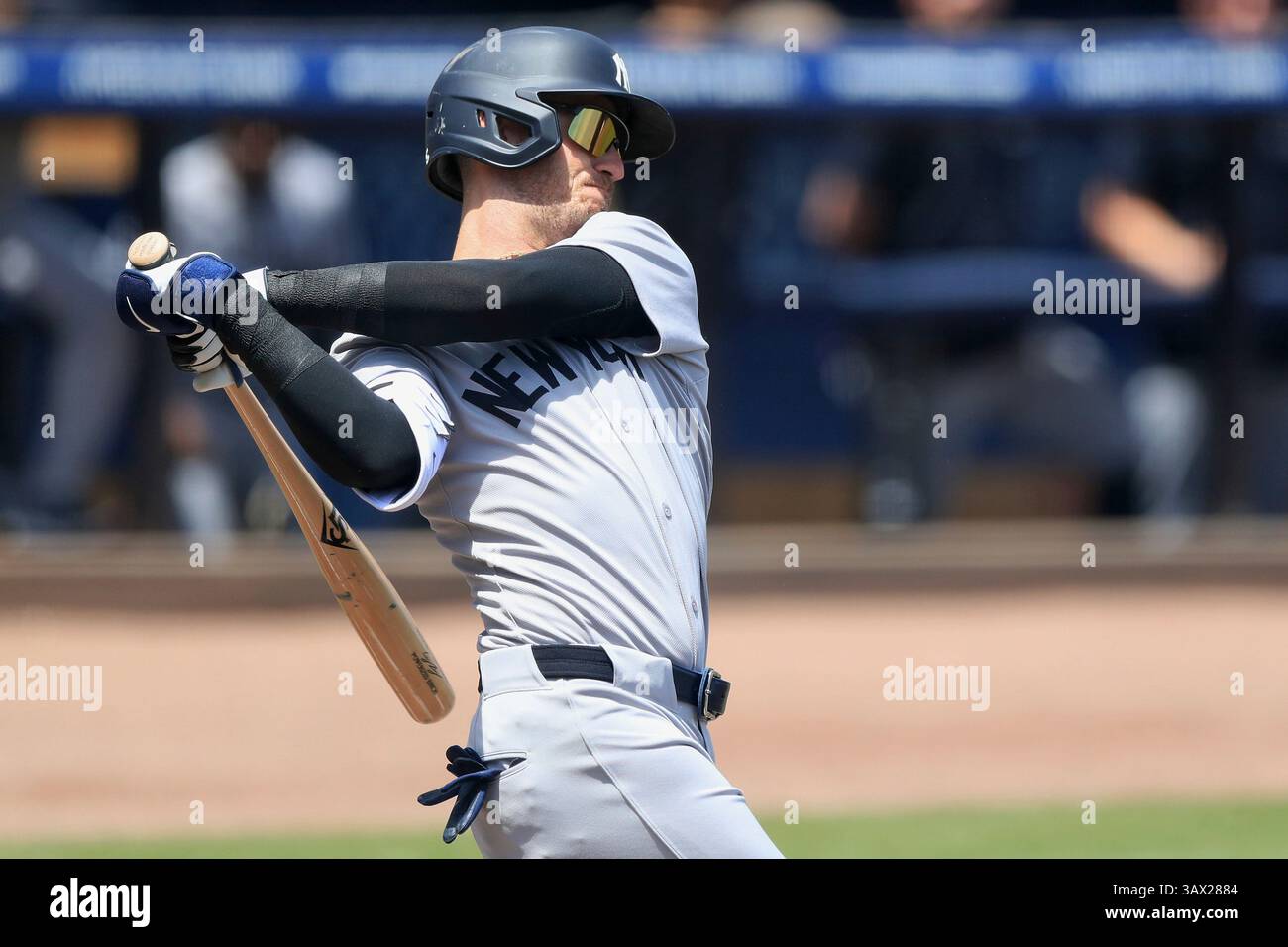 TAMPA, FL - APRIL 20: New York Yankees Outfielder Cody Bellinger (35 ...