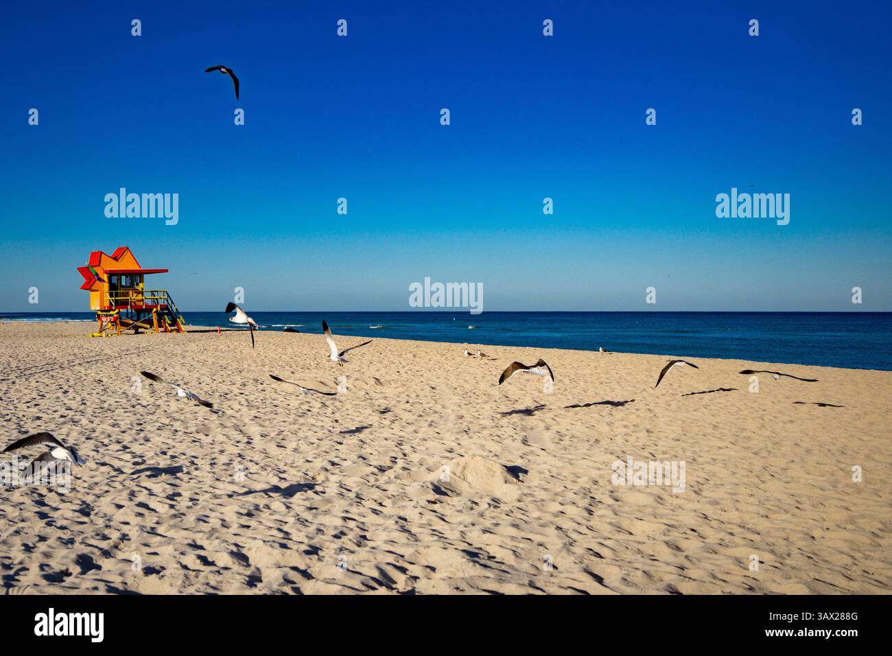 Miami Beach. Lifeguard tower on South Miami Beach. Miami Beach ...