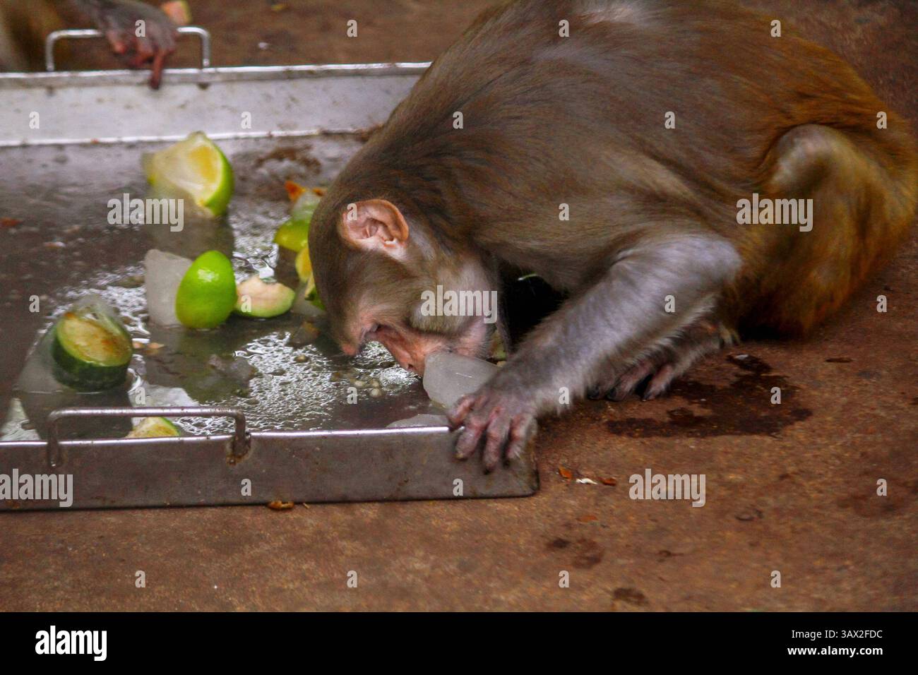 Environment & forest Chennai is becoming more and more heat. With the ...