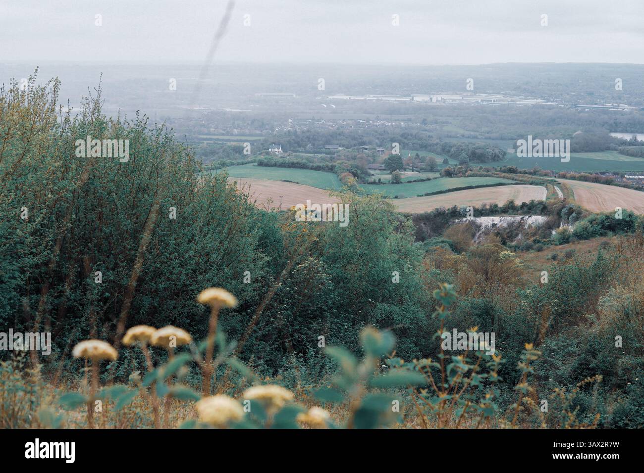 View over Maidstone and North Downs in Kent, England UK Stock Photo - Alamy