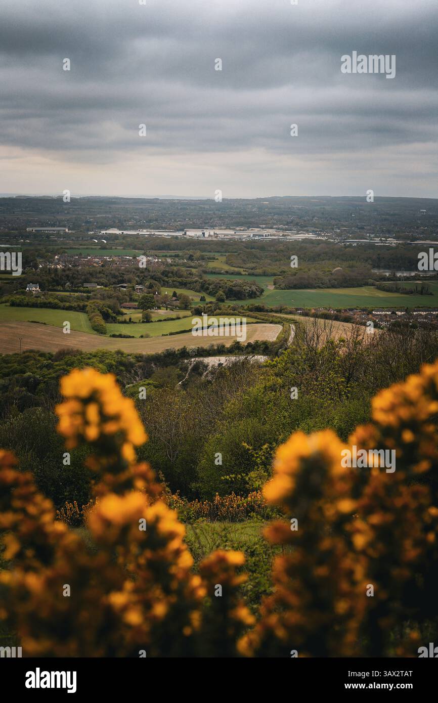 View over Maidstone and North Downs in Kent, England UK Stock Photo - Alamy